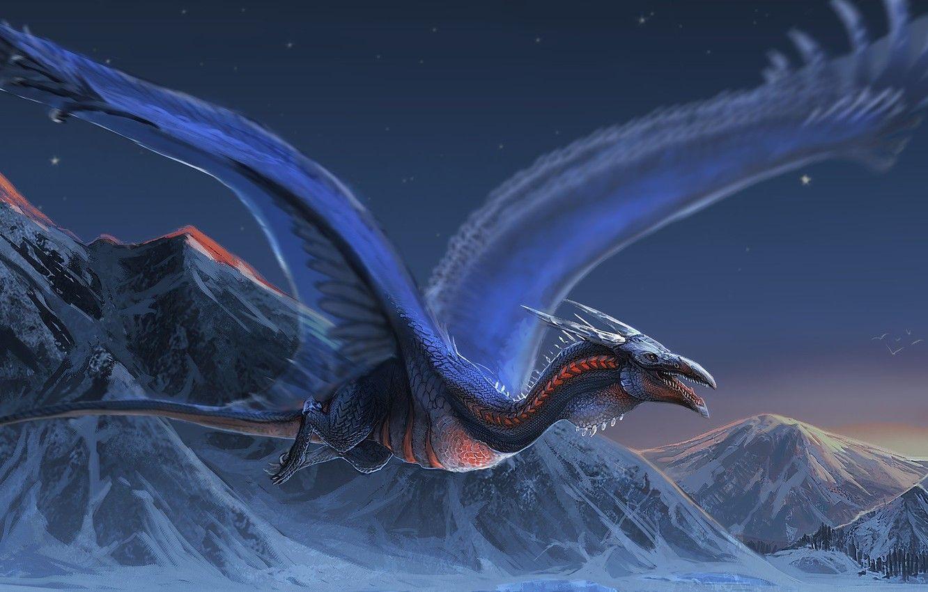 Dragon Digital Art Wallpapers - Top Free Dragon Digital Art Backgrounds ...