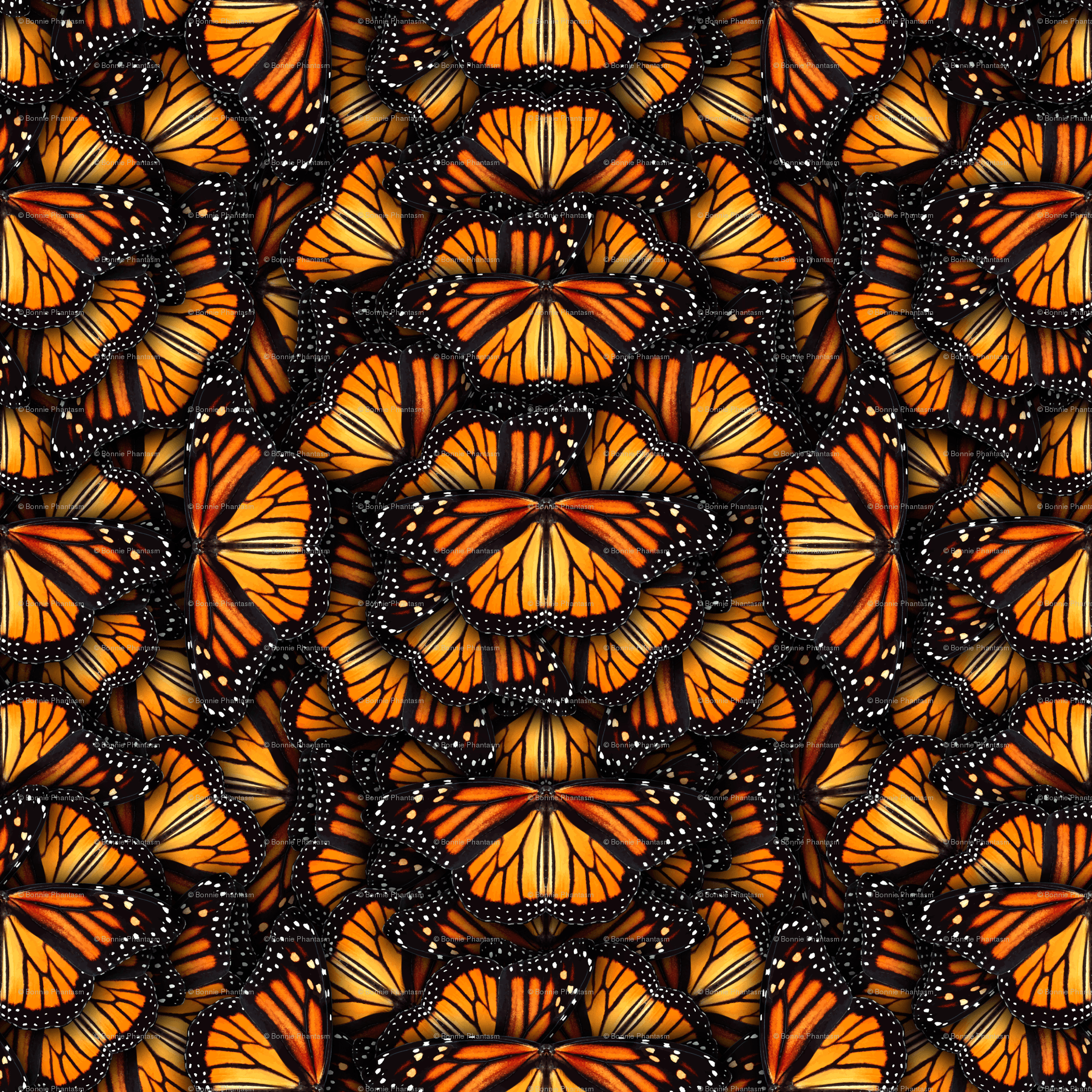 Monarch Butterfly Wallpapers - Top Free Monarch Butterfly Backgrounds ...