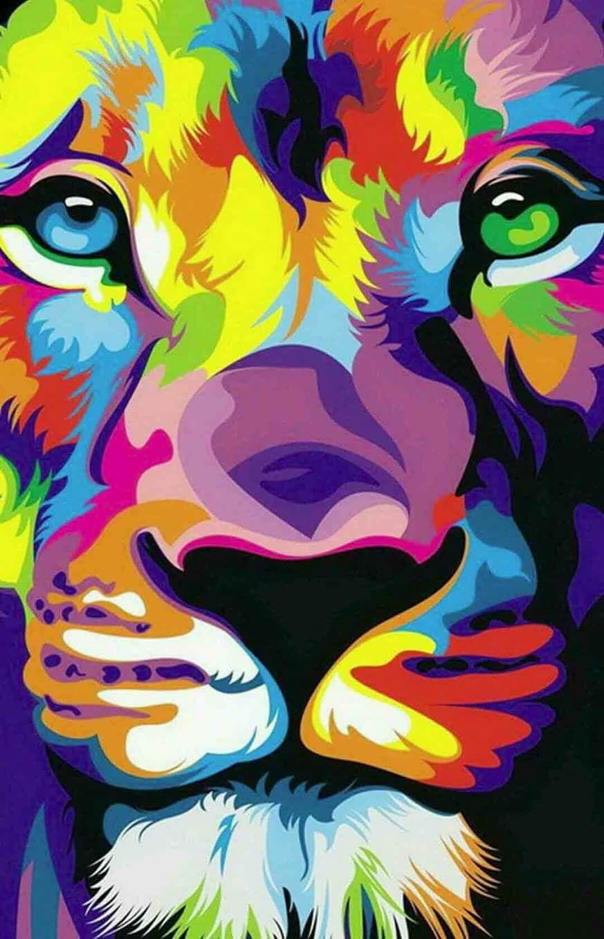 Animal Colour Wallpapers - Top Free Animal Colour Backgrounds ...