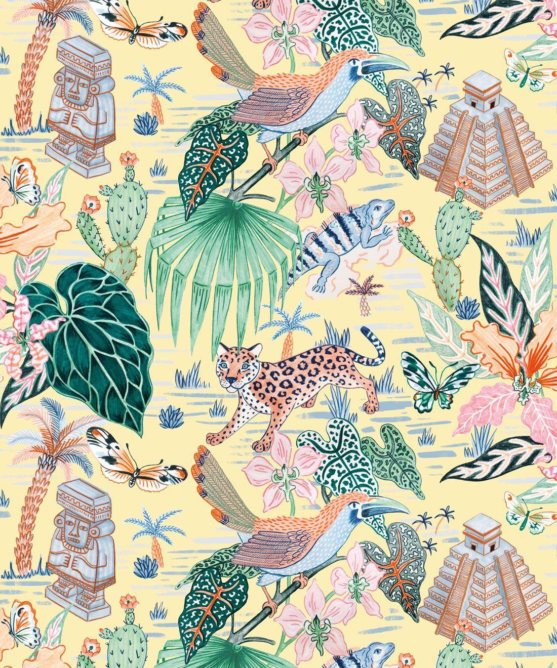 Animal Colour Wallpapers - Top Free Animal Colour Backgrounds ...