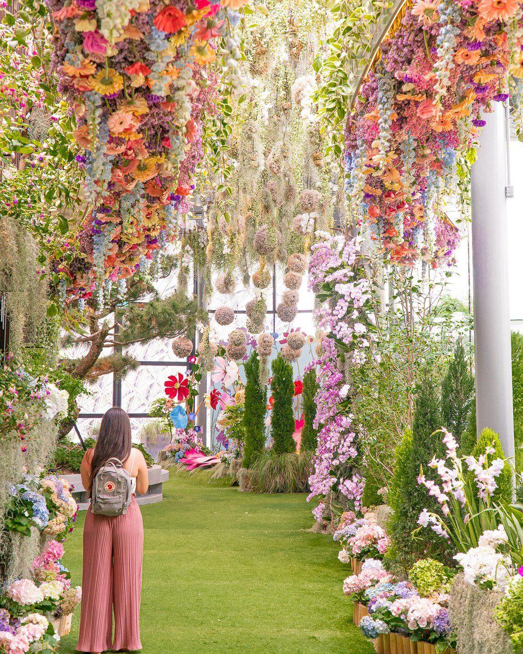 Singapore Flower Wallpapers - Top Free Singapore Flower Backgrounds ...