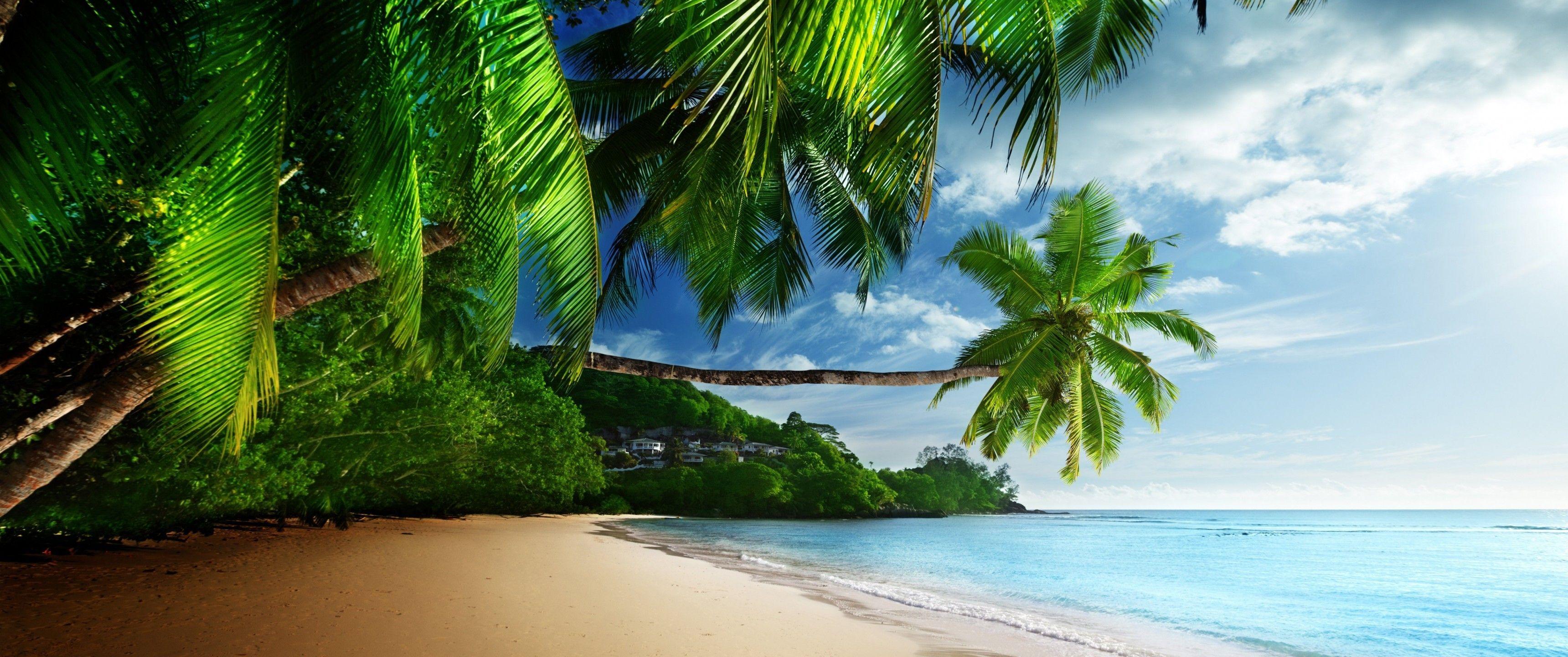 Tropical Waves Wallpapers - Top Free Tropical Waves Backgrounds ...