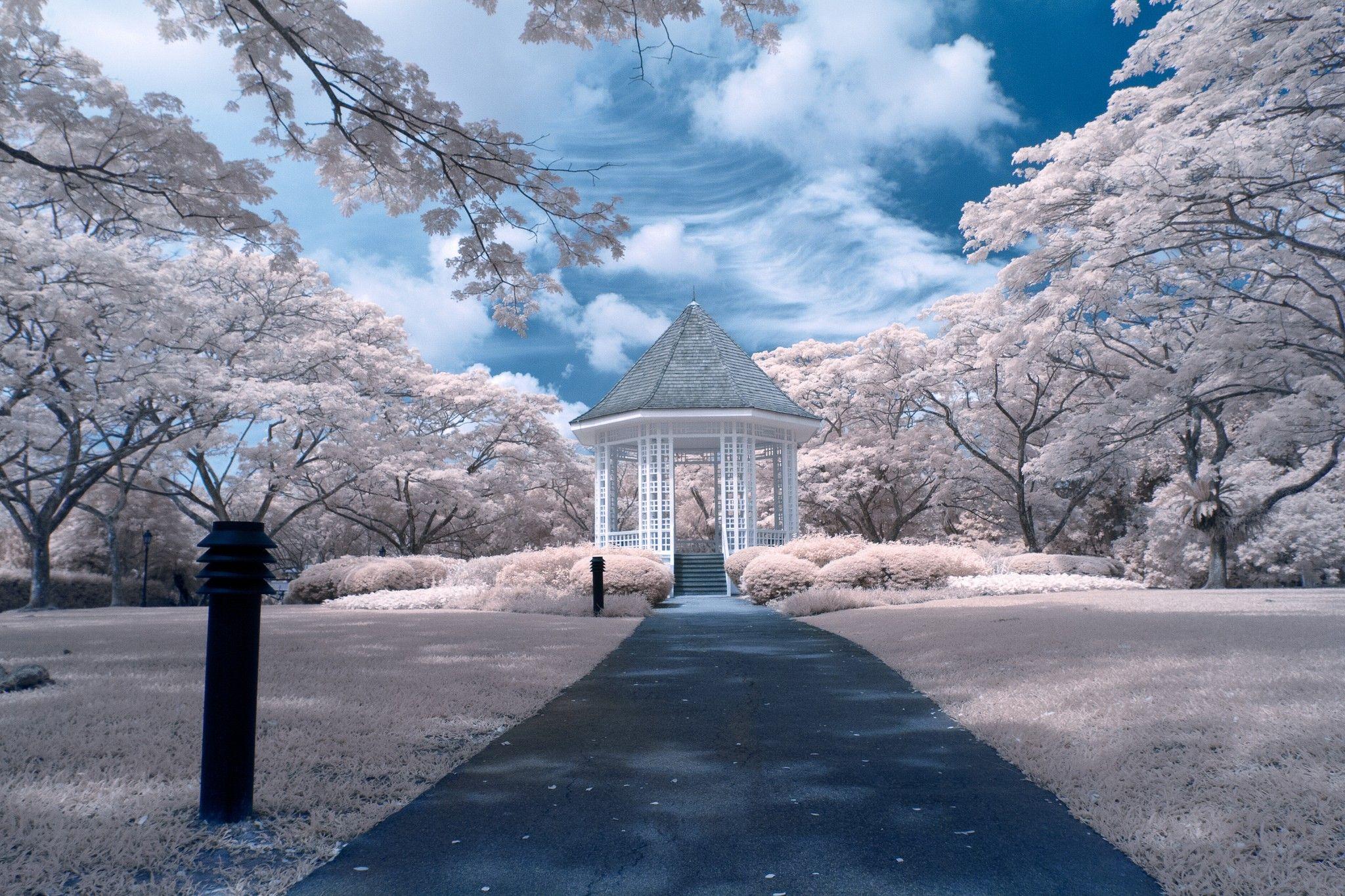 Wintergarden Wallpapers - Top Free Wintergarden Backgrounds ...