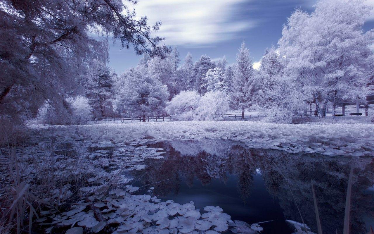 Wintergarden Wallpapers - Top Free Wintergarden Backgrounds ...