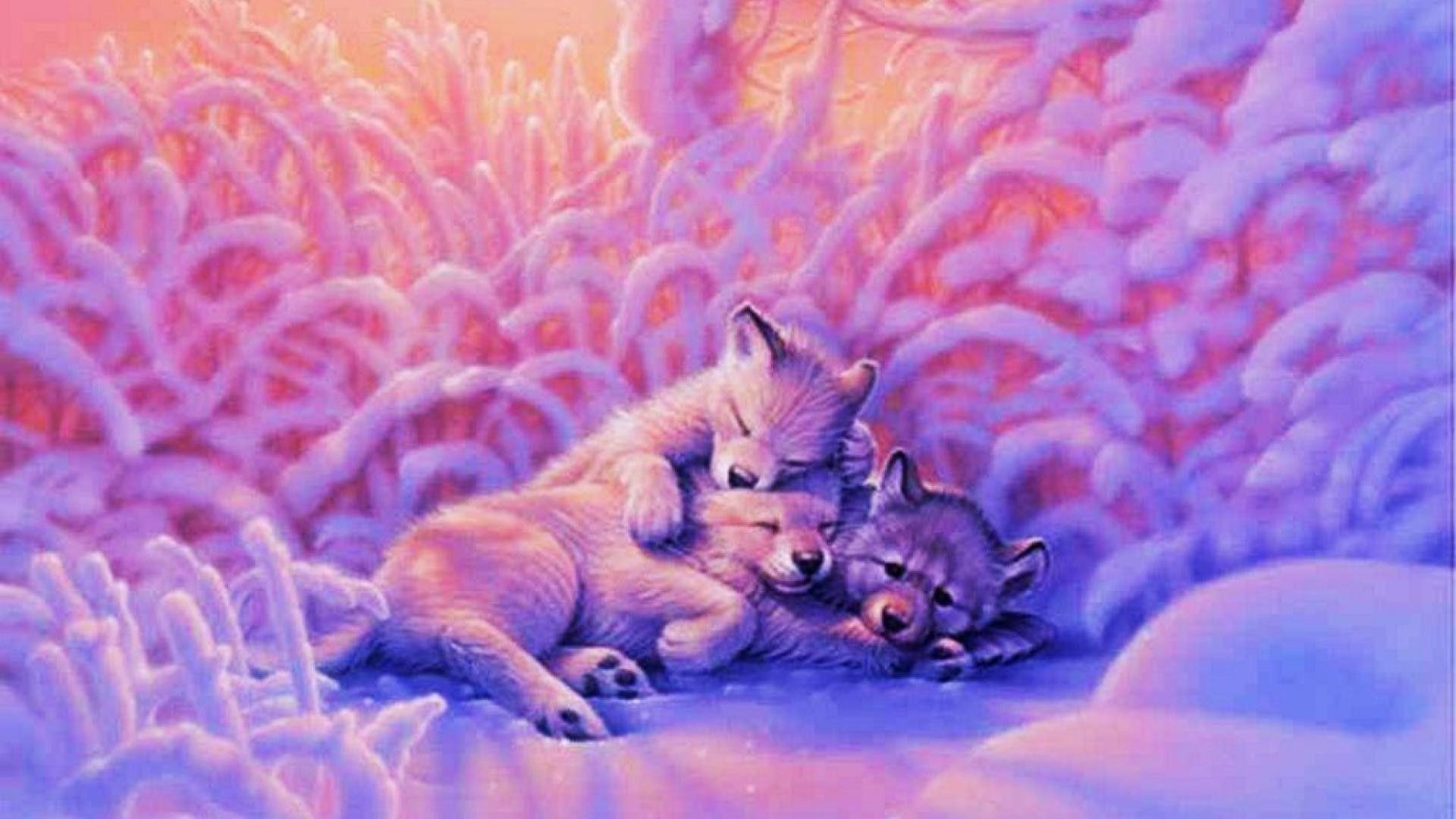 Cute Fox and Wolf Wallpapers - Top Free Cute Fox and Wolf Backgrounds ...