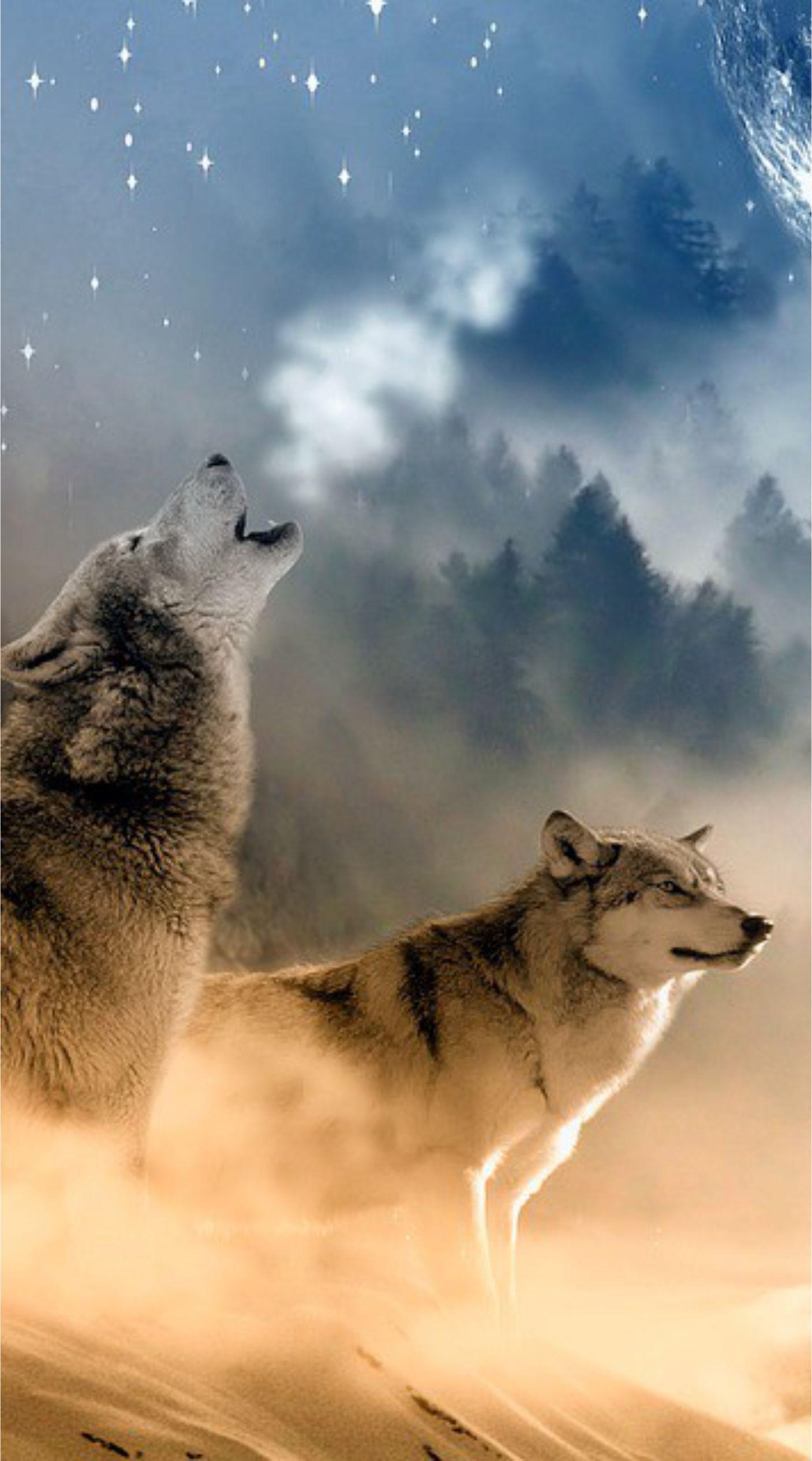 Wolf and Fox Wallpapers - Top Free Wolf and Fox Backgrounds ...
