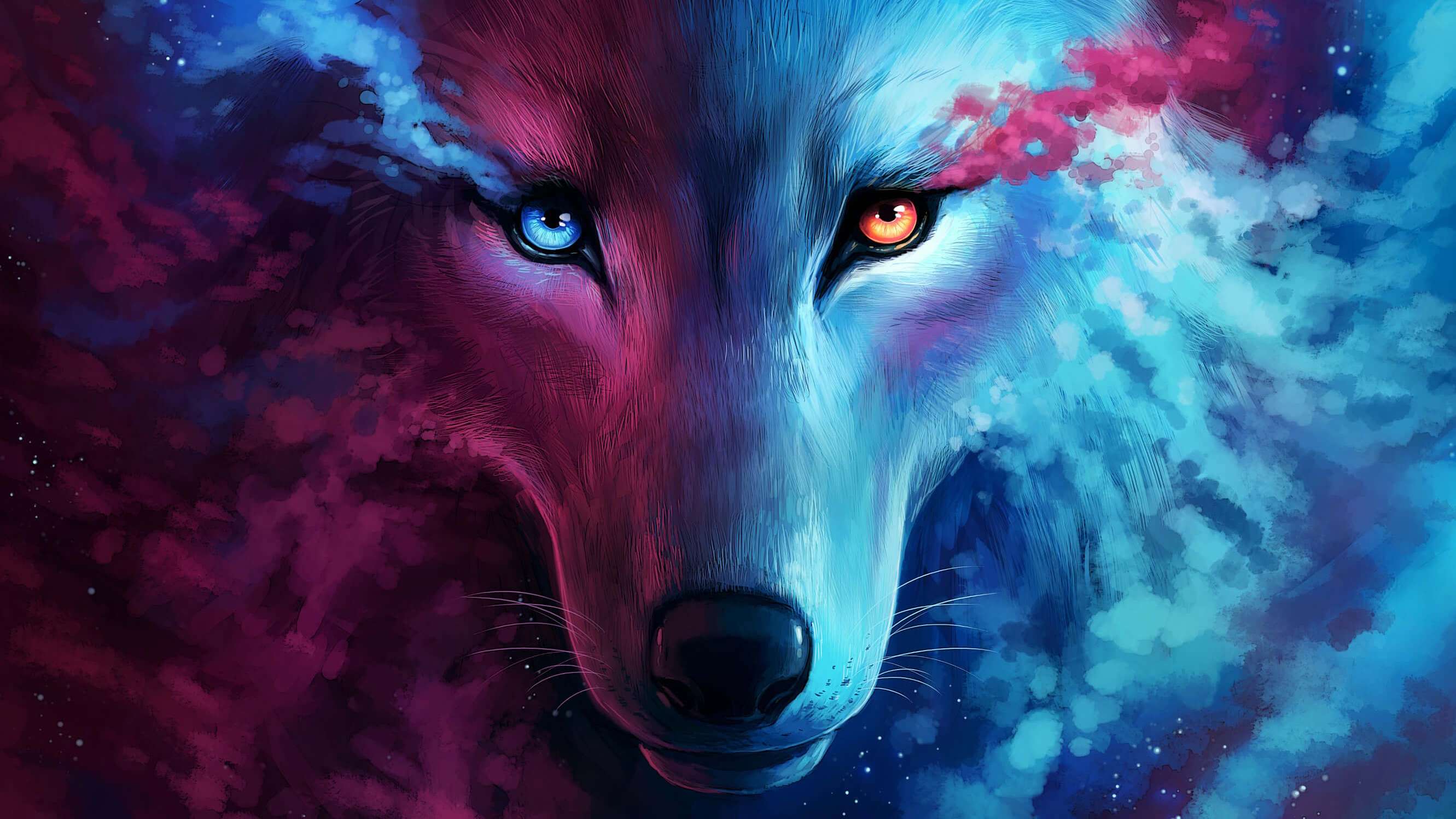 Cute Fox and Wolf Wallpapers - Top Free Cute Fox and Wolf Backgrounds ...