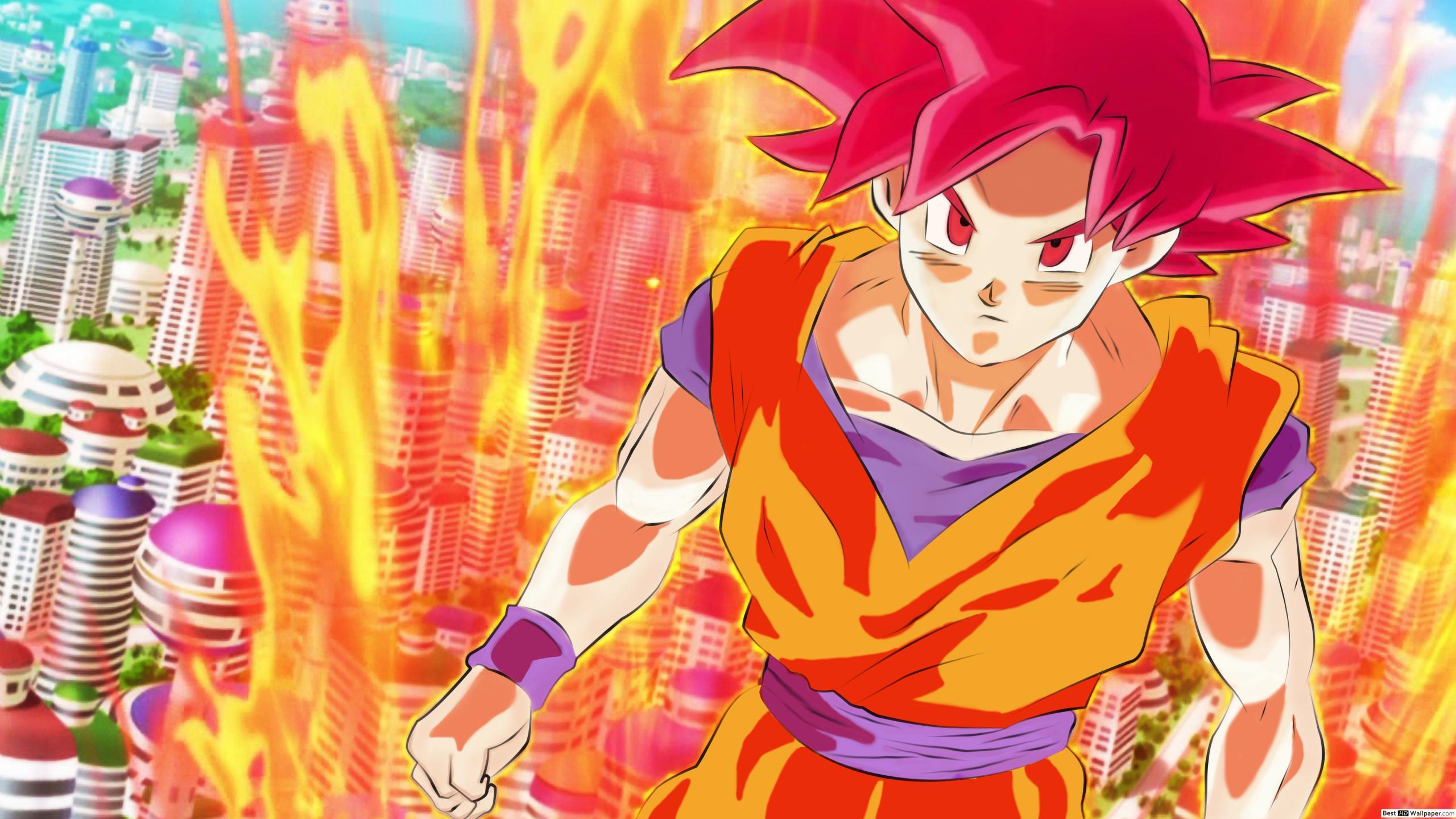 2560X1440 Dragon Ball Z Wallpapers - Top Free 2560X1440 Dragon Ball Z ...