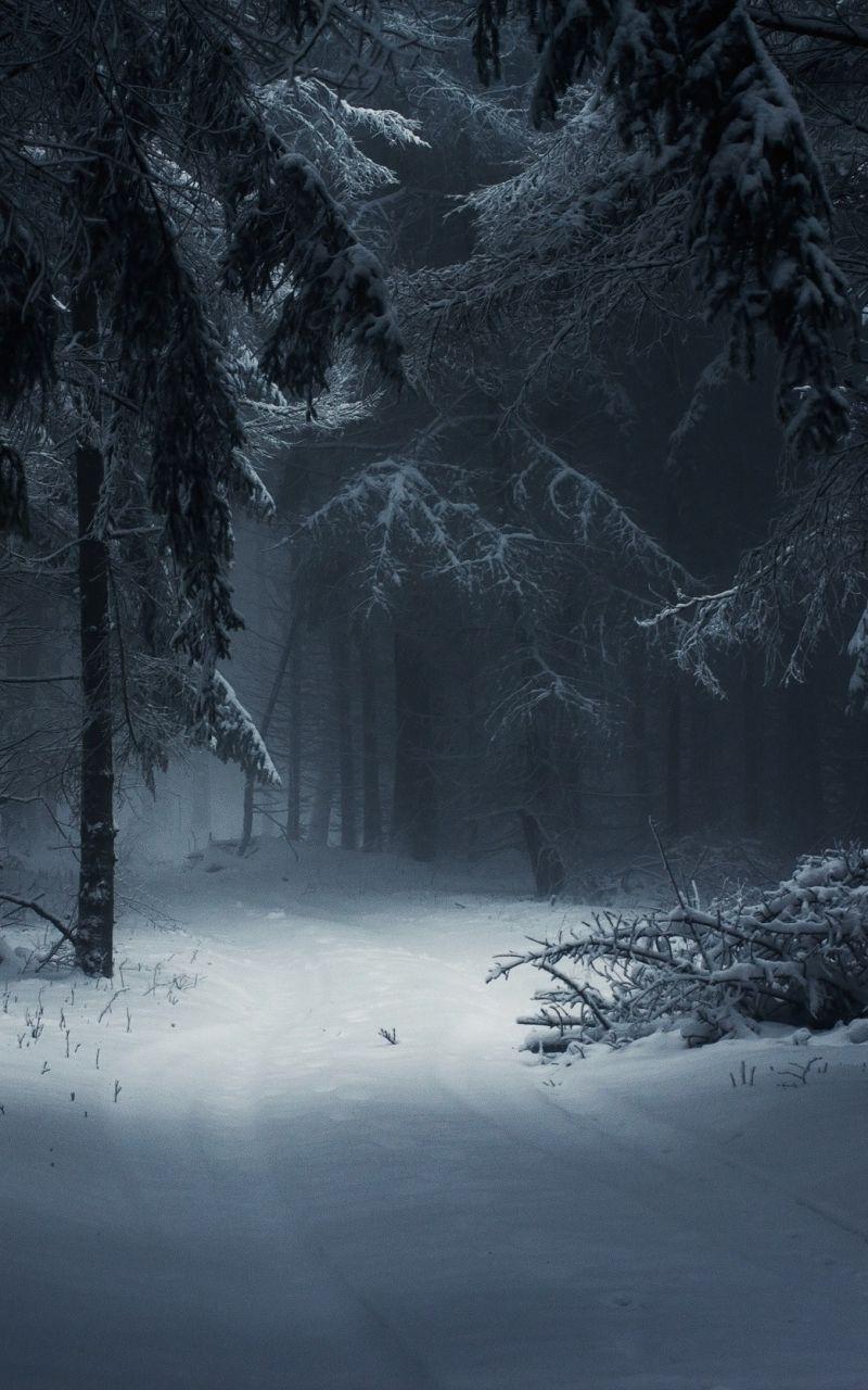 HD Dark Winter Wallpapers - Top Free HD Dark Winter Backgrounds ...