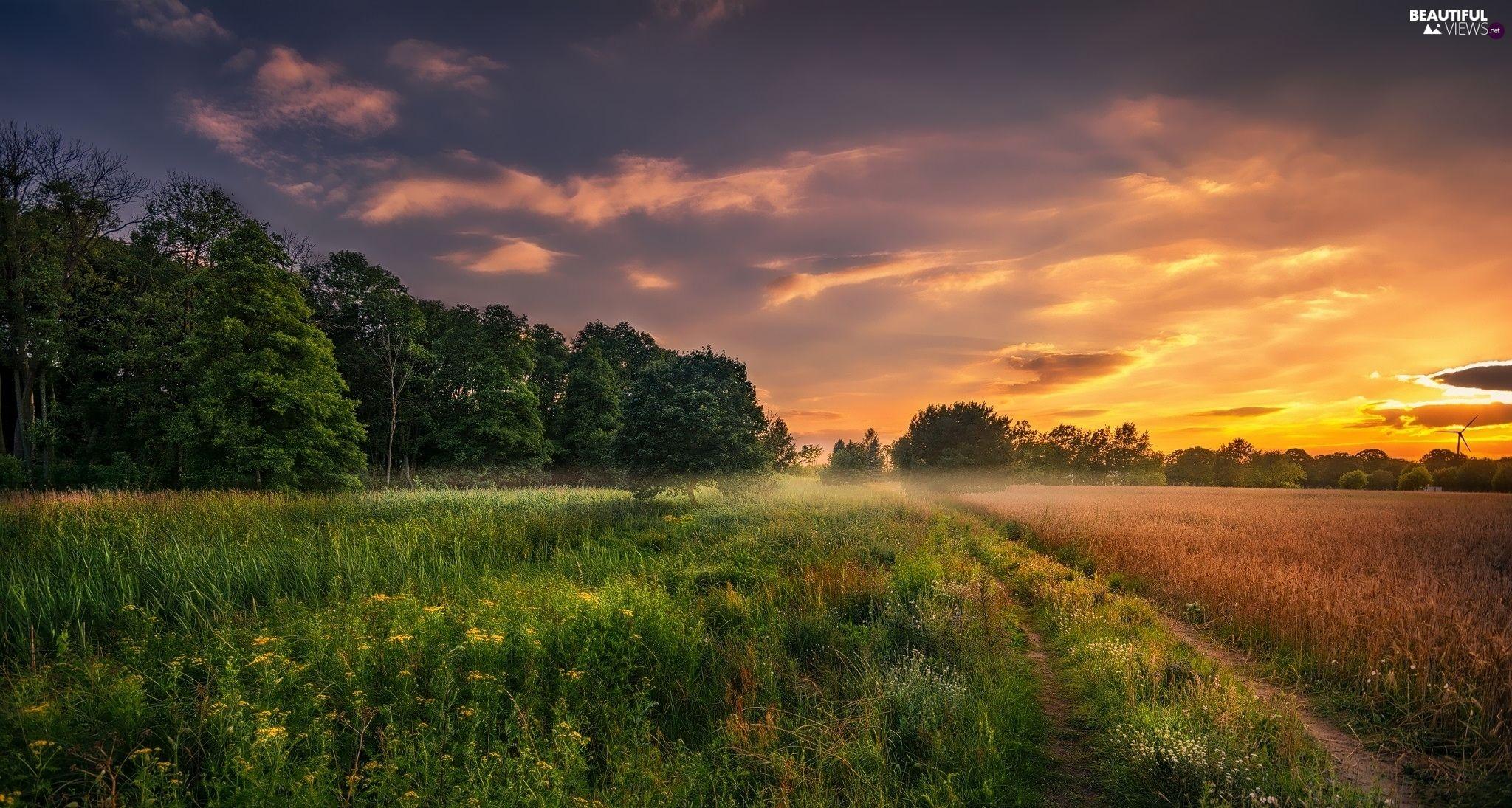 Meadow Sunrise Wallpapers - Top Free Meadow Sunrise Backgrounds ...