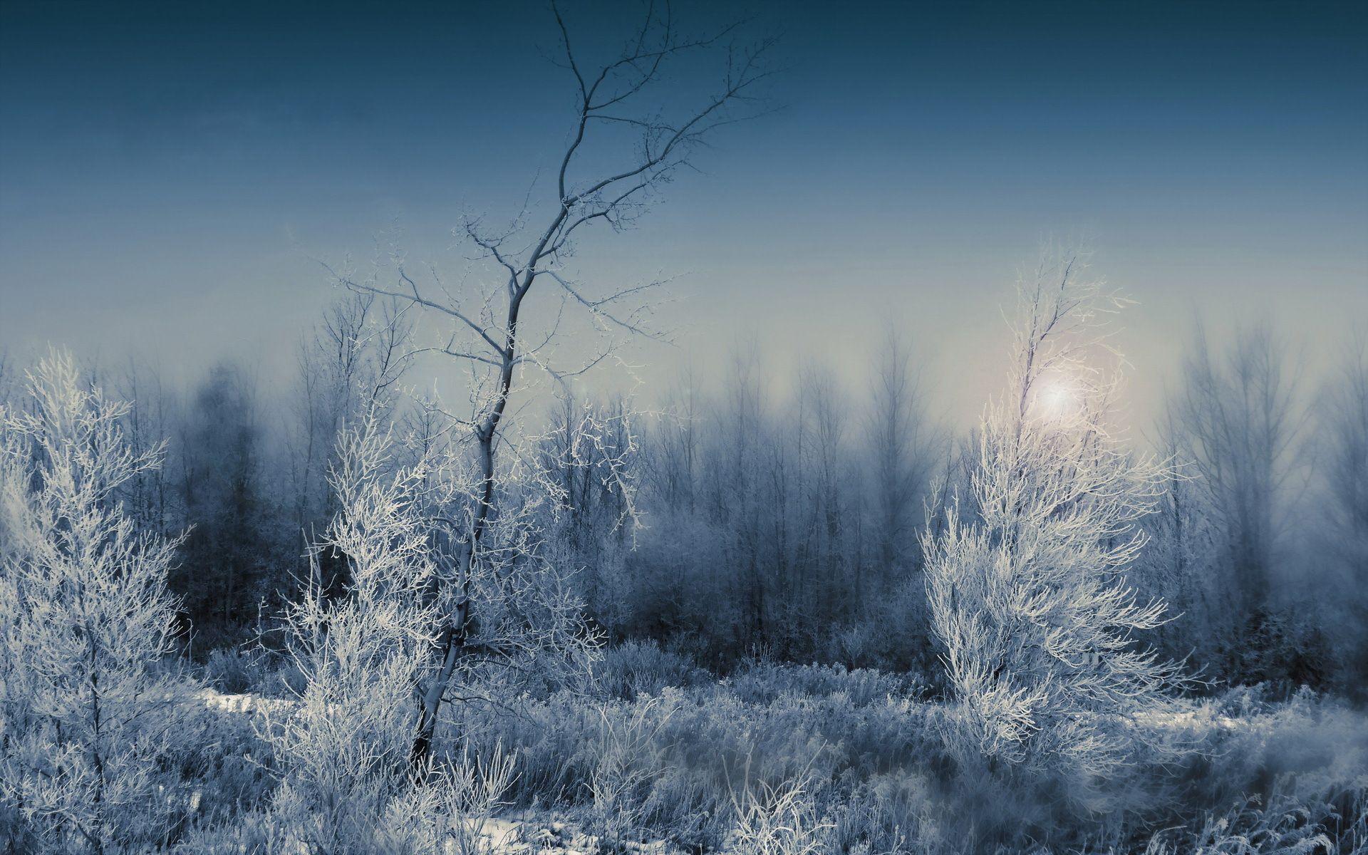 Dark Winter Night Wallpapers - Top Free Dark Winter Night Backgrounds ...