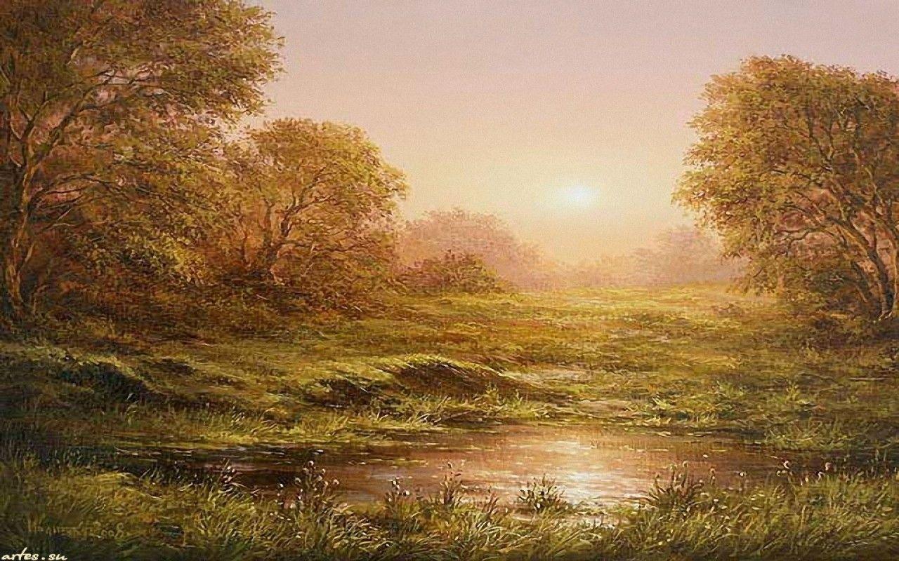 Forest Meadow Wallpapers - Top Free Forest Meadow Backgrounds ...