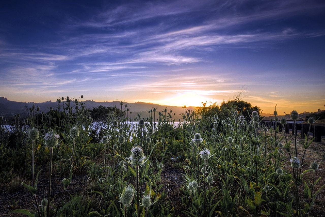 Meadow Sunrise Wallpapers - Top Free Meadow Sunrise Backgrounds ...