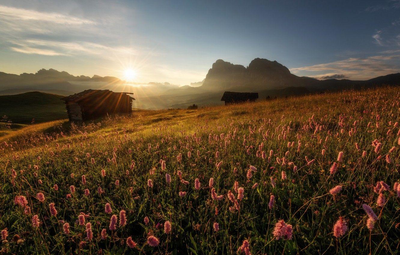Meadow Sunrise Wallpapers - Top Free Meadow Sunrise Backgrounds ...