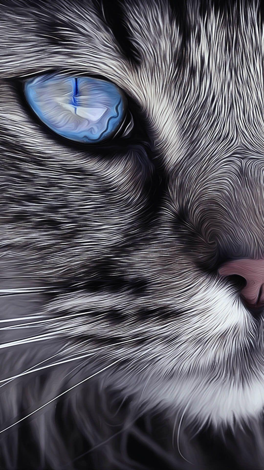 Cat Face Wallpapers - Top Free Cat Face Backgrounds - WallpaperAccess