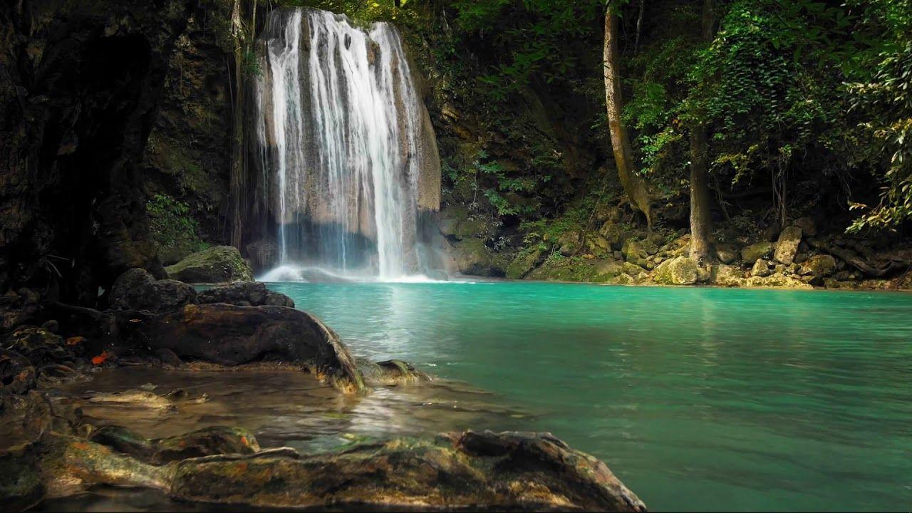 Jungle River Wallpapers - Top Free Jungle River Backgrounds ...