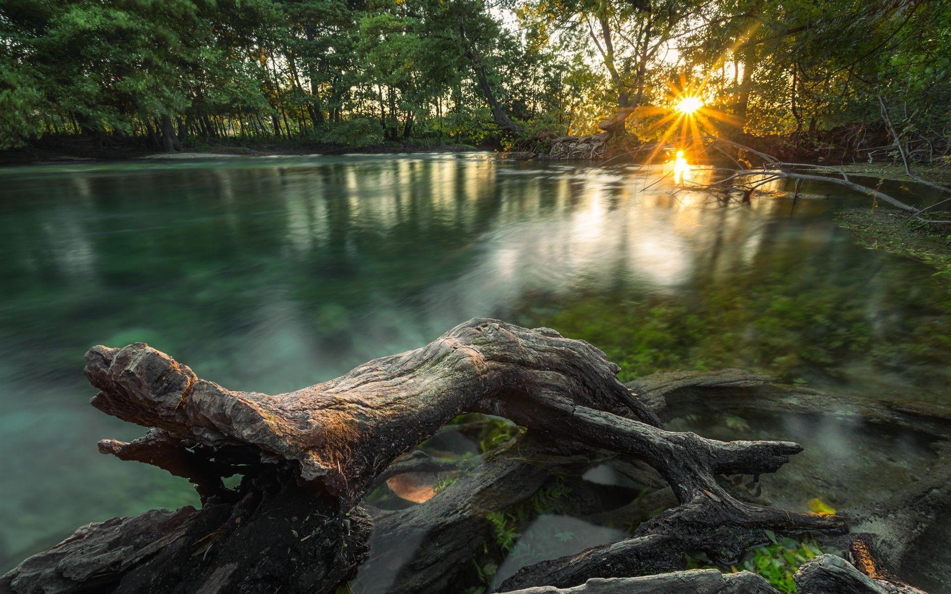 Jungle River Wallpapers - Top Free Jungle River Backgrounds ...