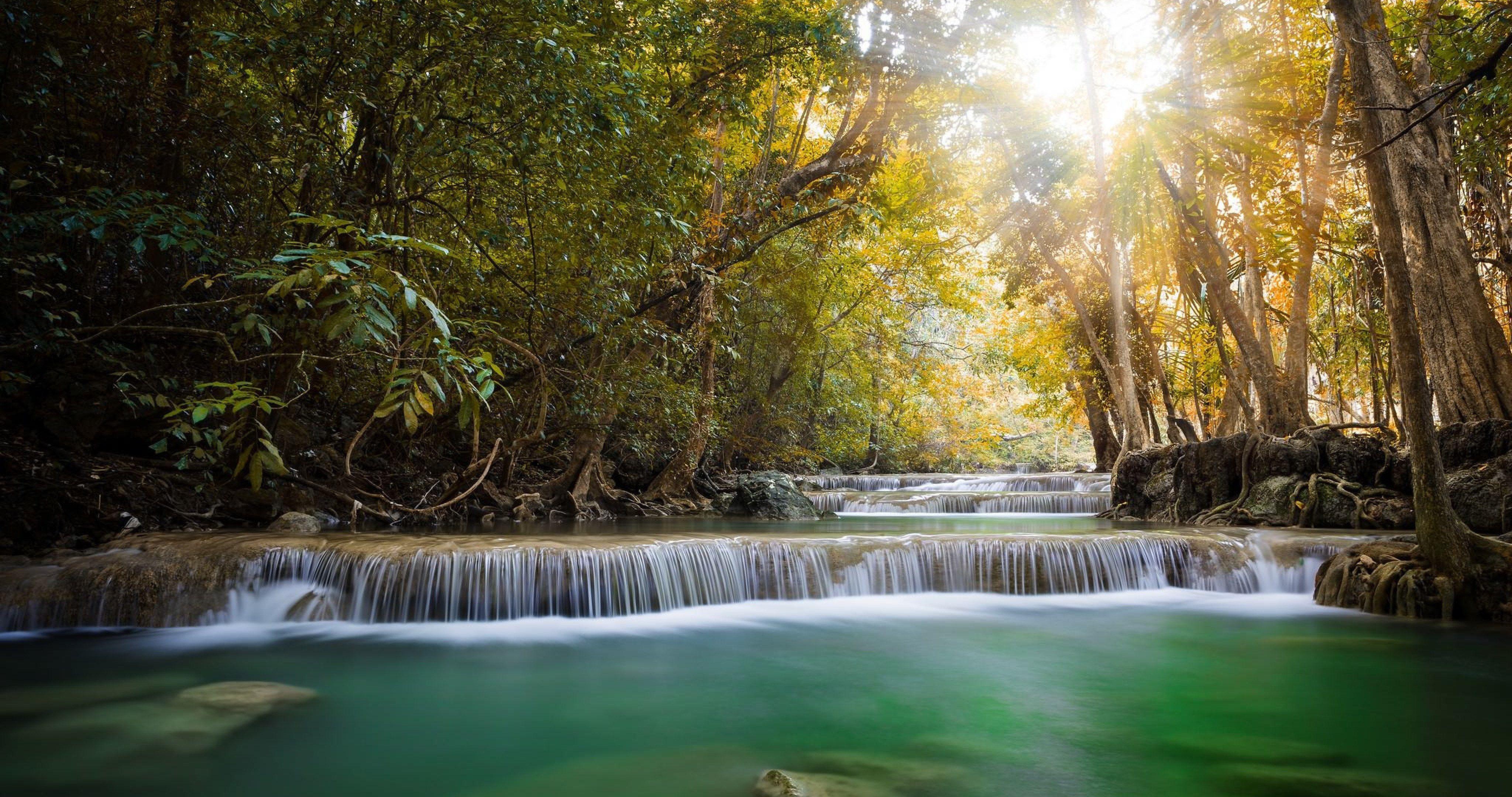 Rainforest 4k Wallpapers - Top Free Rainforest 4k Backgrounds ...