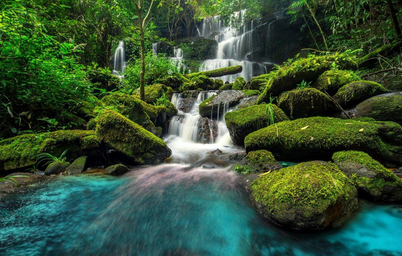 Jungle River Wallpapers - Top Free Jungle River Backgrounds ...