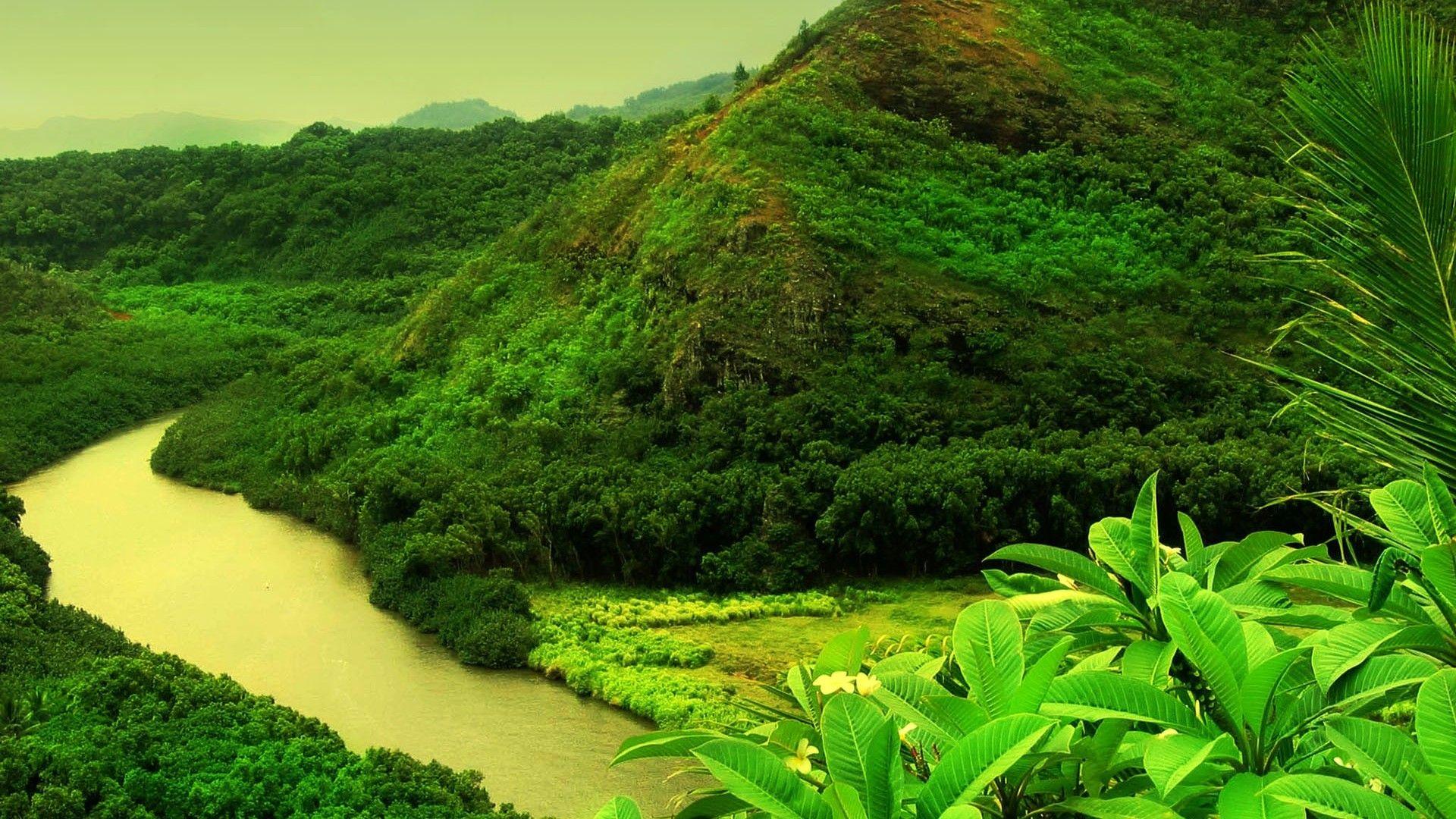 Jungle River Wallpapers - Top Free Jungle River Backgrounds ...