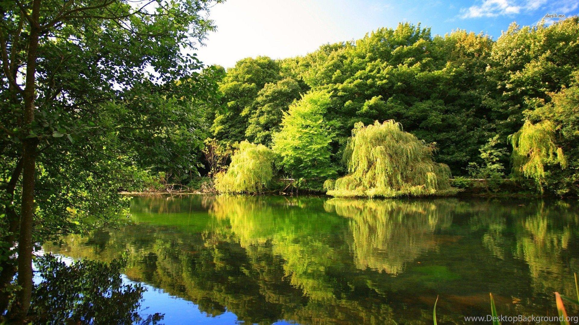 Jungle River Wallpapers - Top Free Jungle River Backgrounds ...