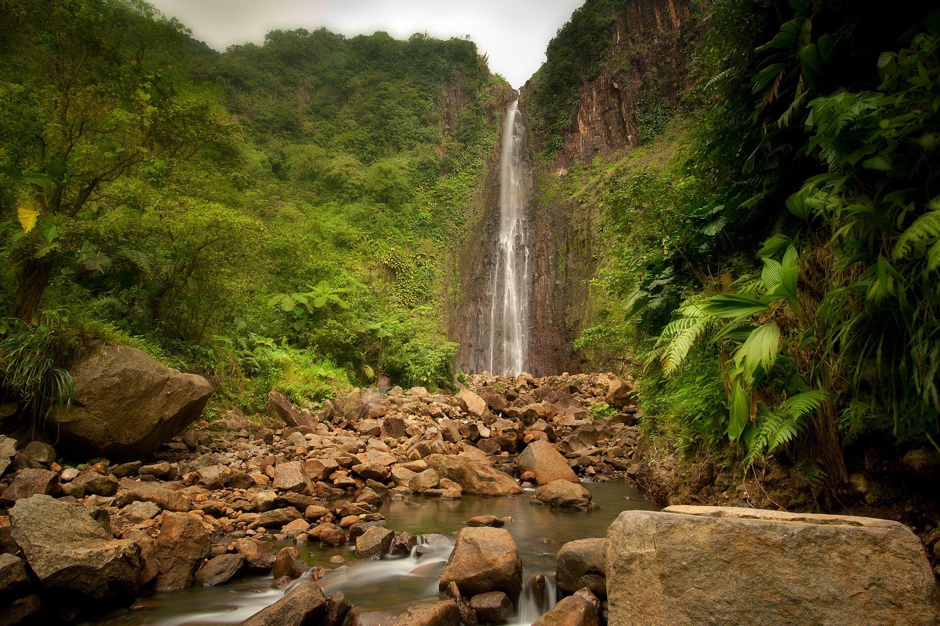Jungle River Wallpapers - Top Free Jungle River Backgrounds ...