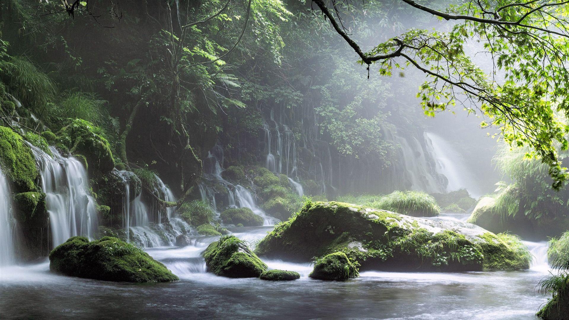 Jungle River Wallpapers - Top Free Jungle River Backgrounds ...