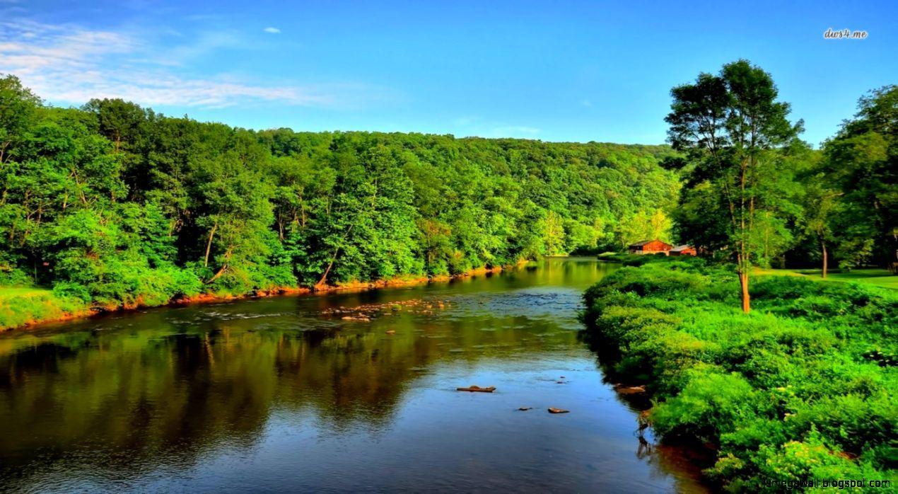 Jungle River Wallpapers - Top Free Jungle River Backgrounds ...