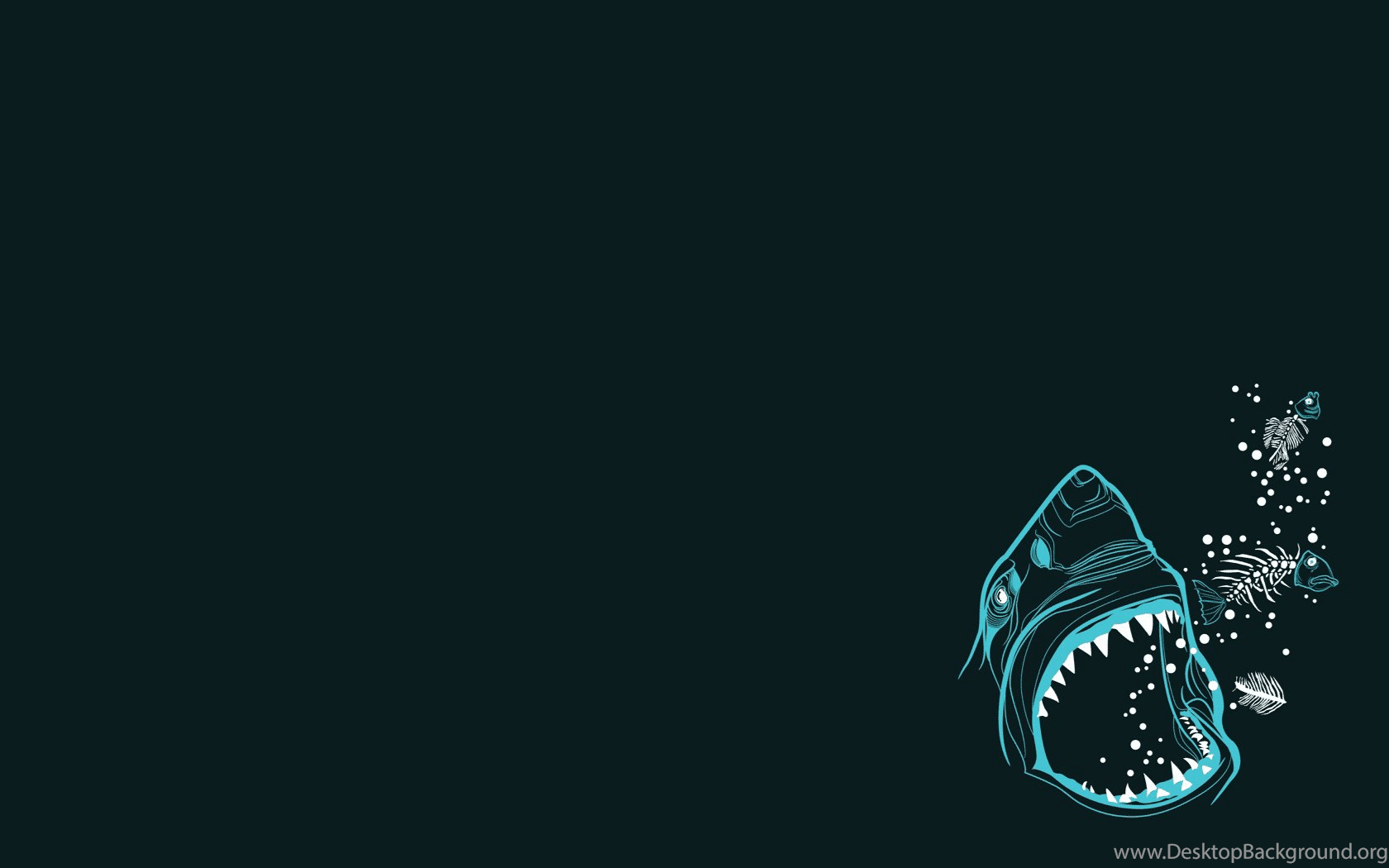 Shark Computer Wallpapers - Top Free Shark Computer Backgrounds ...