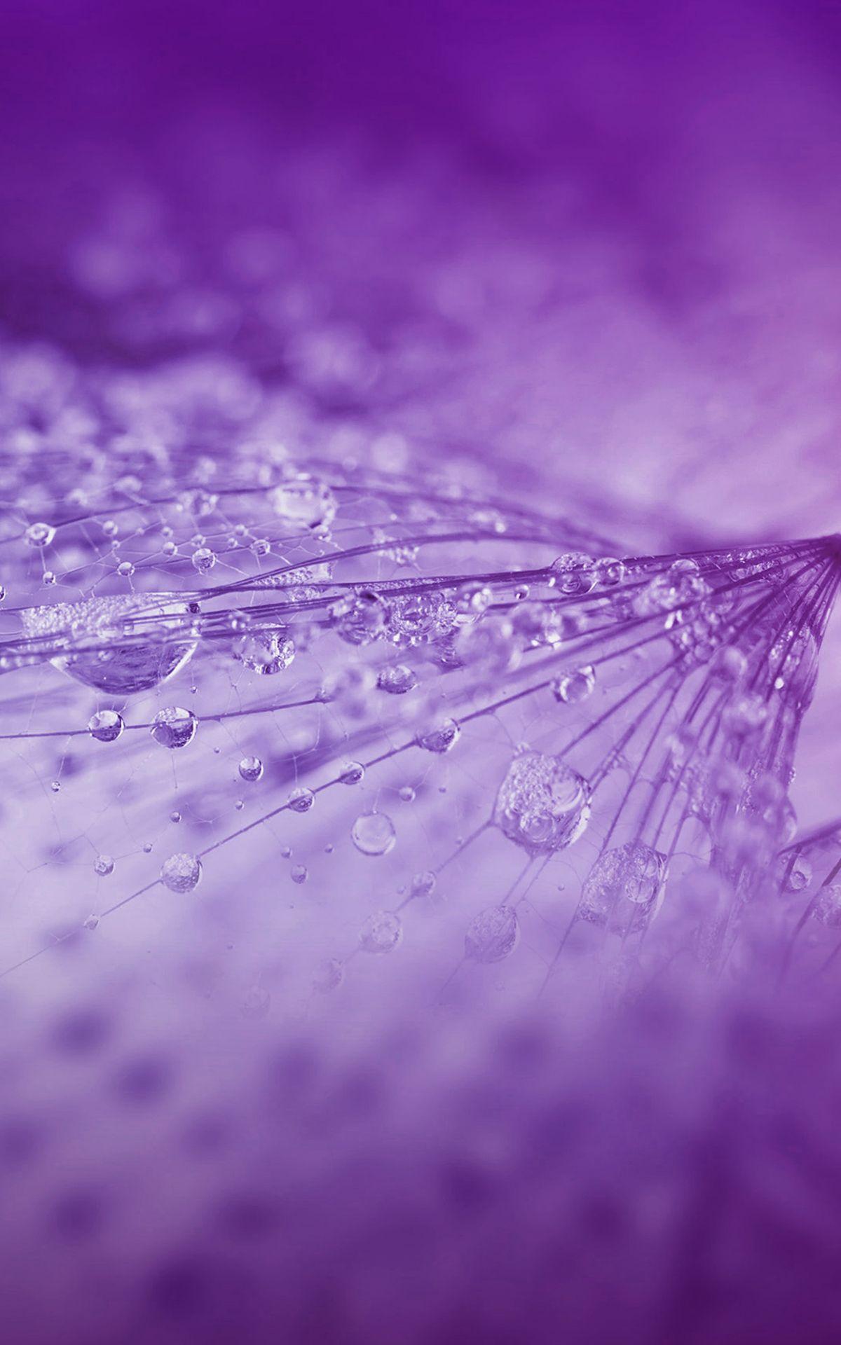 Purple Android Wallpapers - Top Free Purple Android Backgrounds ...