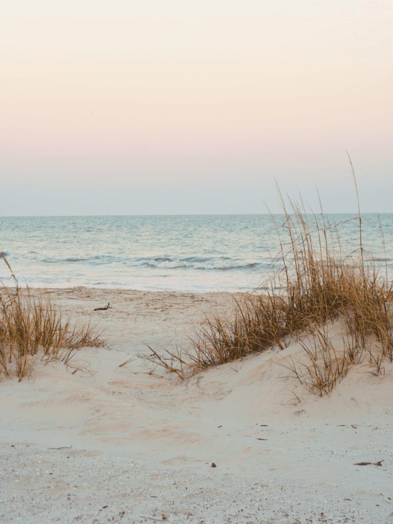 Webex Wallpapers - Top Free Webex Backgrounds - WallpaperAccess