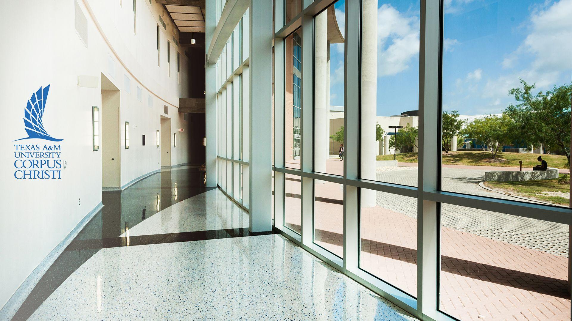 Webex Wallpapers - Top Free Webex Backgrounds - WallpaperAccess