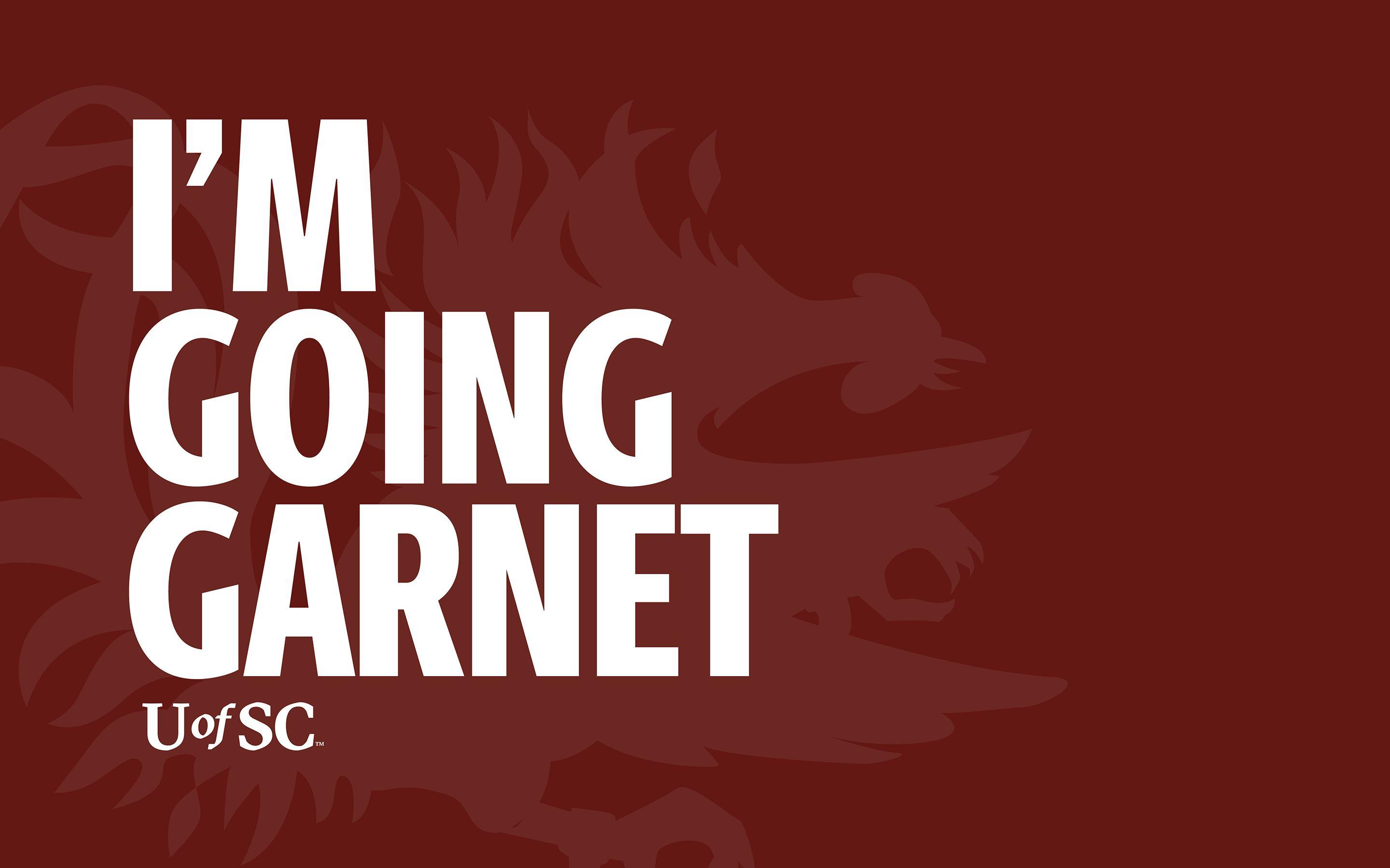 Garnet Wallpapers - Top Free Garnet Backgrounds - WallpaperAccess