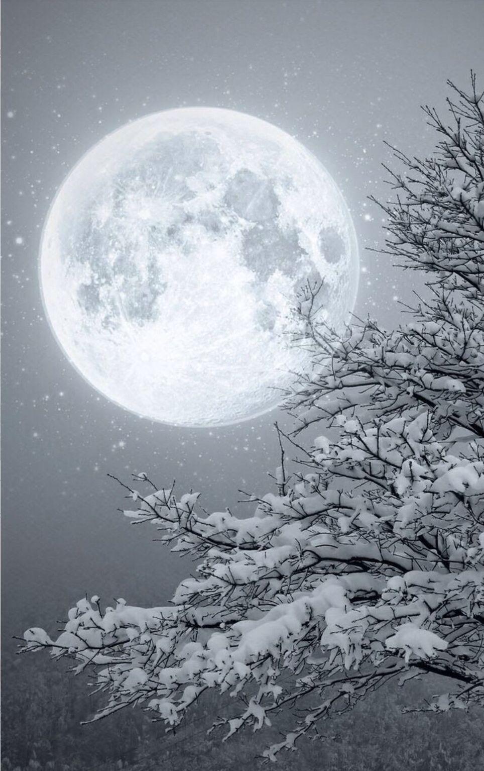 Beautiful Winter Moon Wallpapers - Top Free Beautiful Winter Moon ...