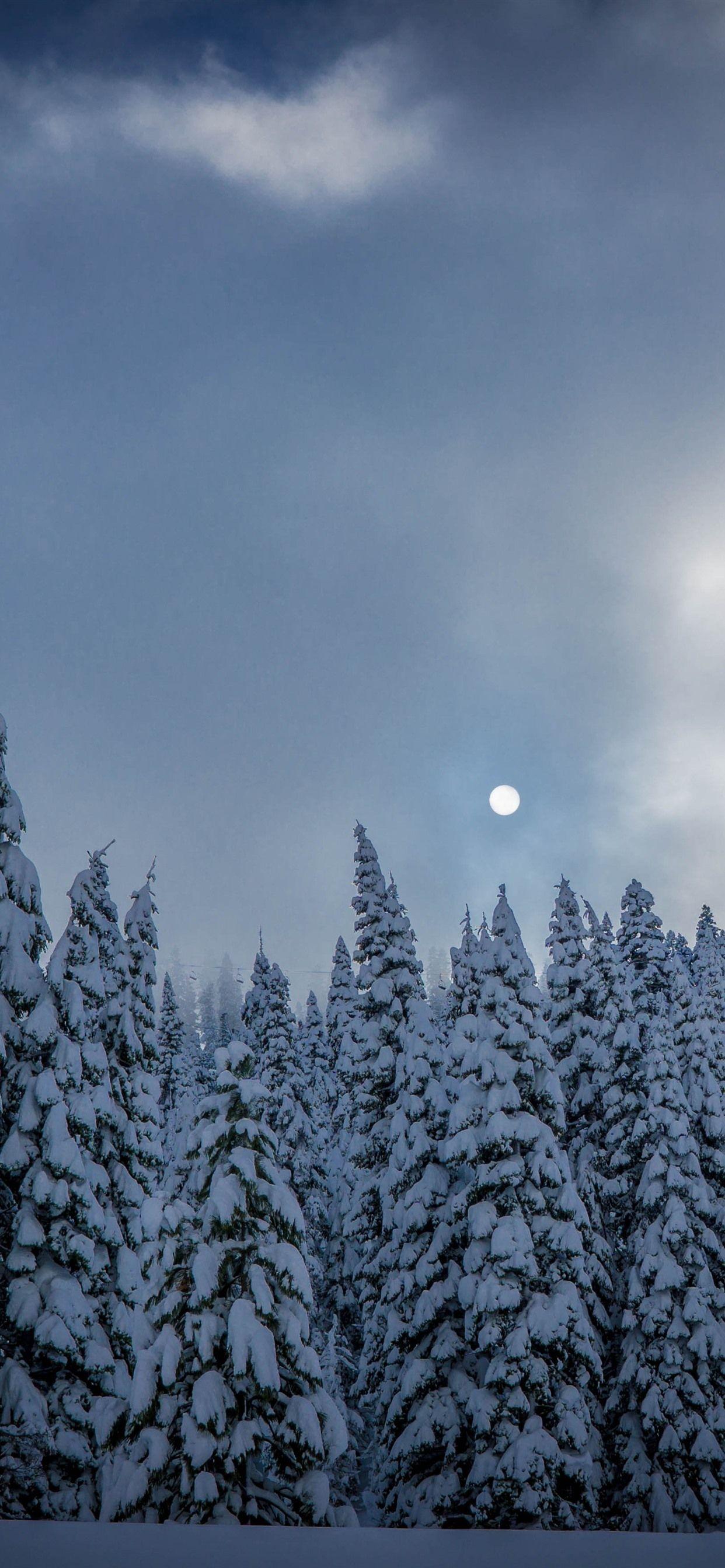 Beautiful Winter Moon Wallpapers - Top Free Beautiful Winter Moon ...