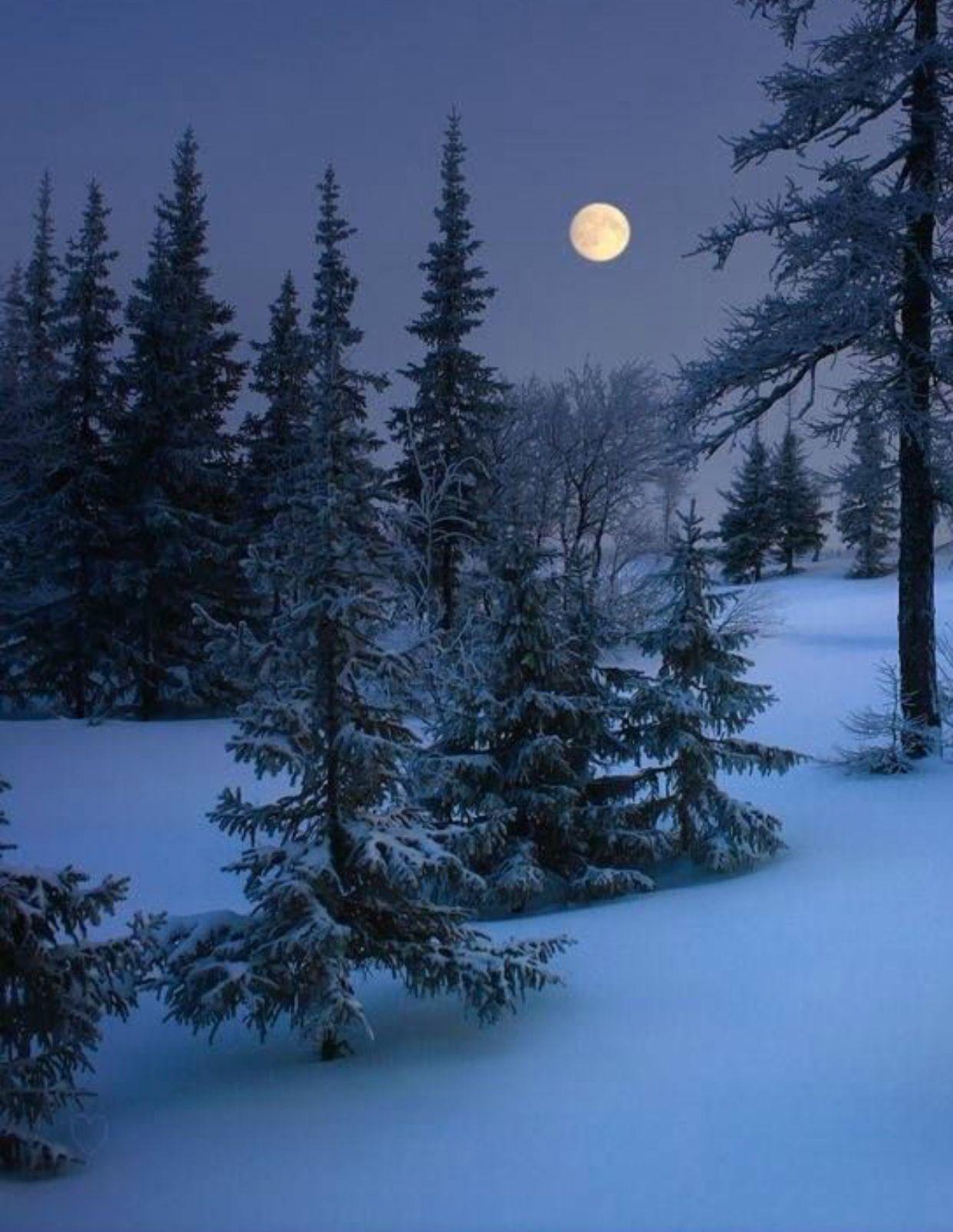Beautiful Winter Moon Wallpapers - Top Free Beautiful Winter Moon ...