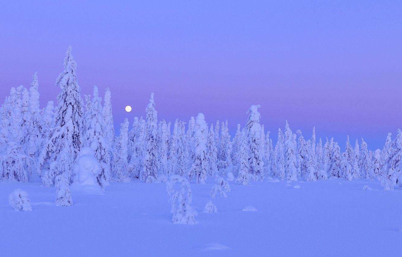 Beautiful Winter Moon Wallpapers - Top Free Beautiful Winter Moon ...