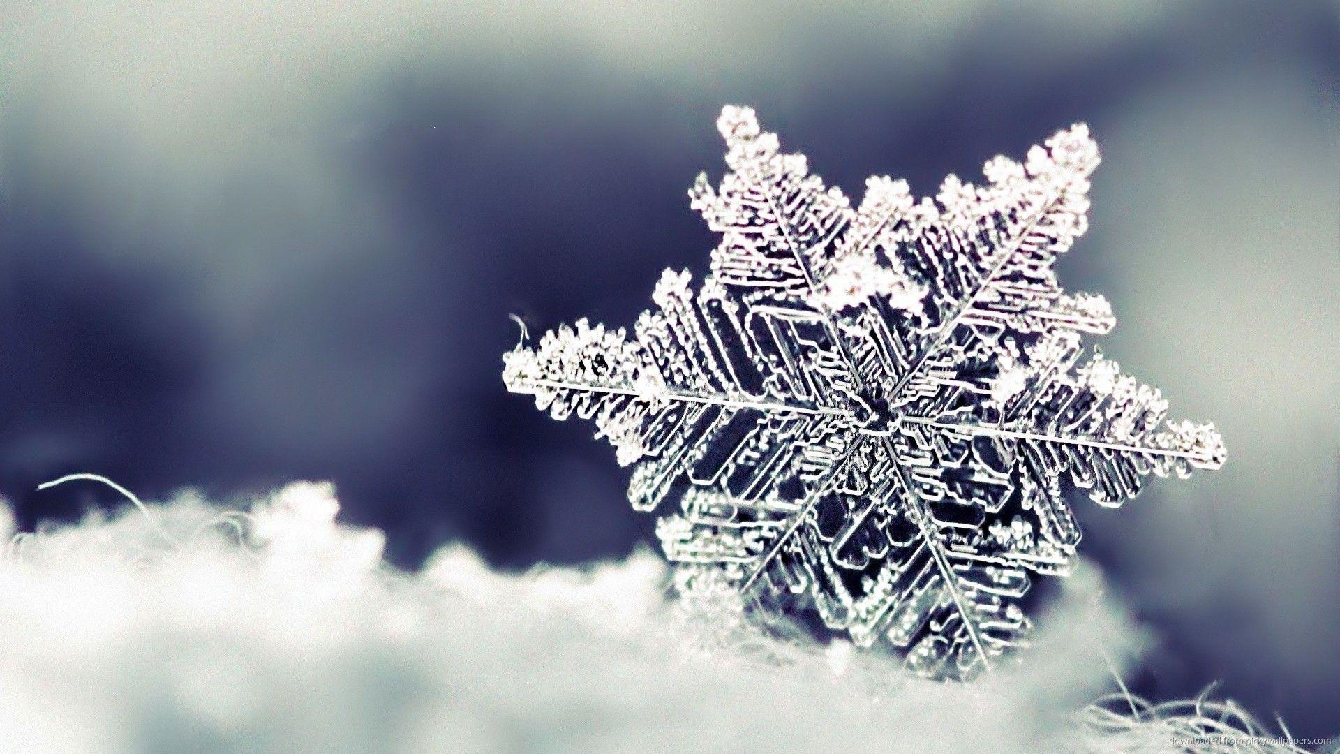 Beautiful Snowflake Wallpapers - Top Free Beautiful Snowflake ...