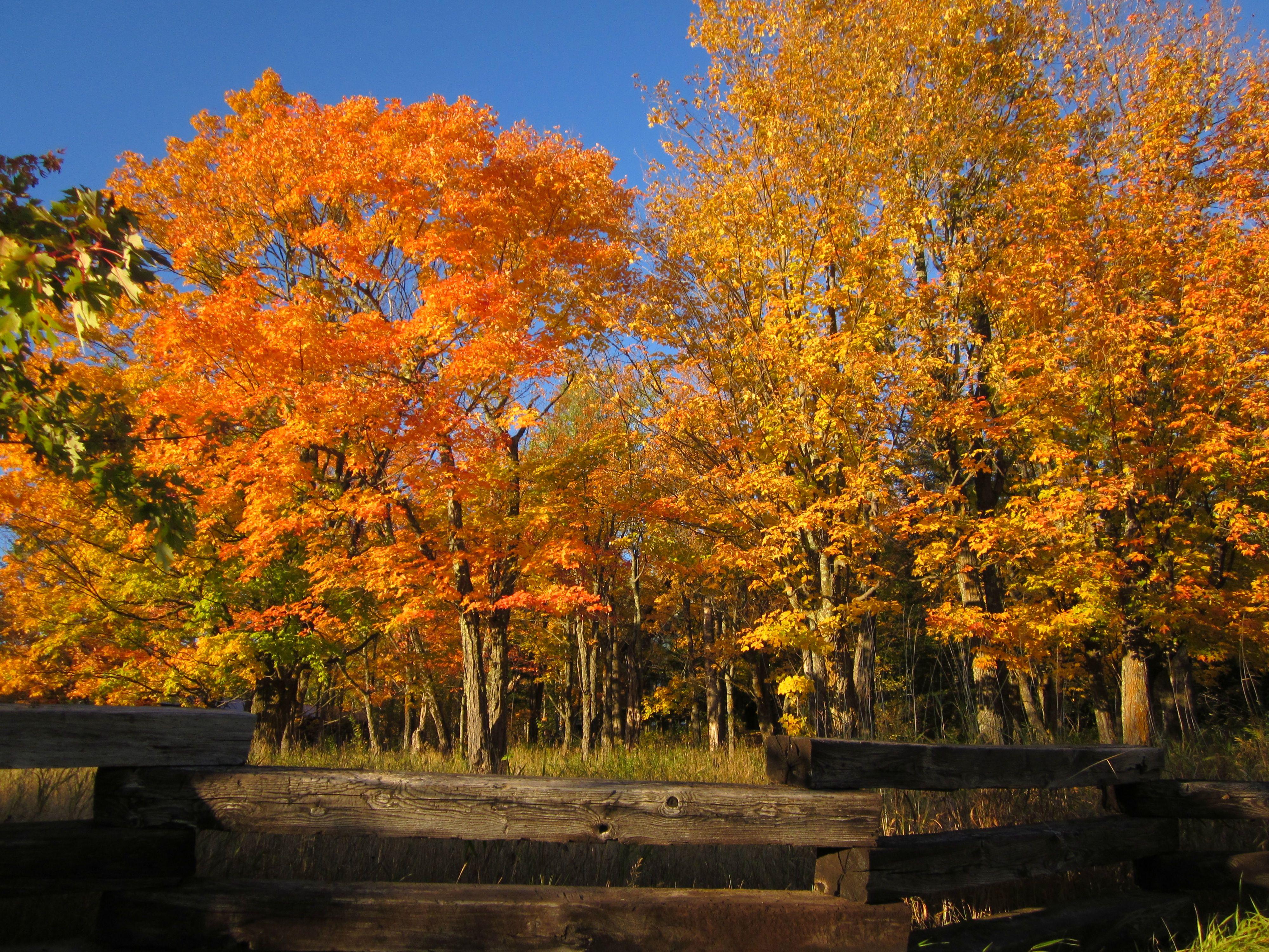 Minnesota Autumn Wallpapers - Top Free Minnesota Autumn Backgrounds ...