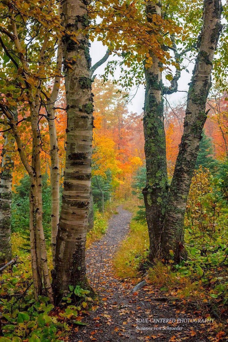 Minnesota Autumn Wallpapers - Top Free Minnesota Autumn Backgrounds ...