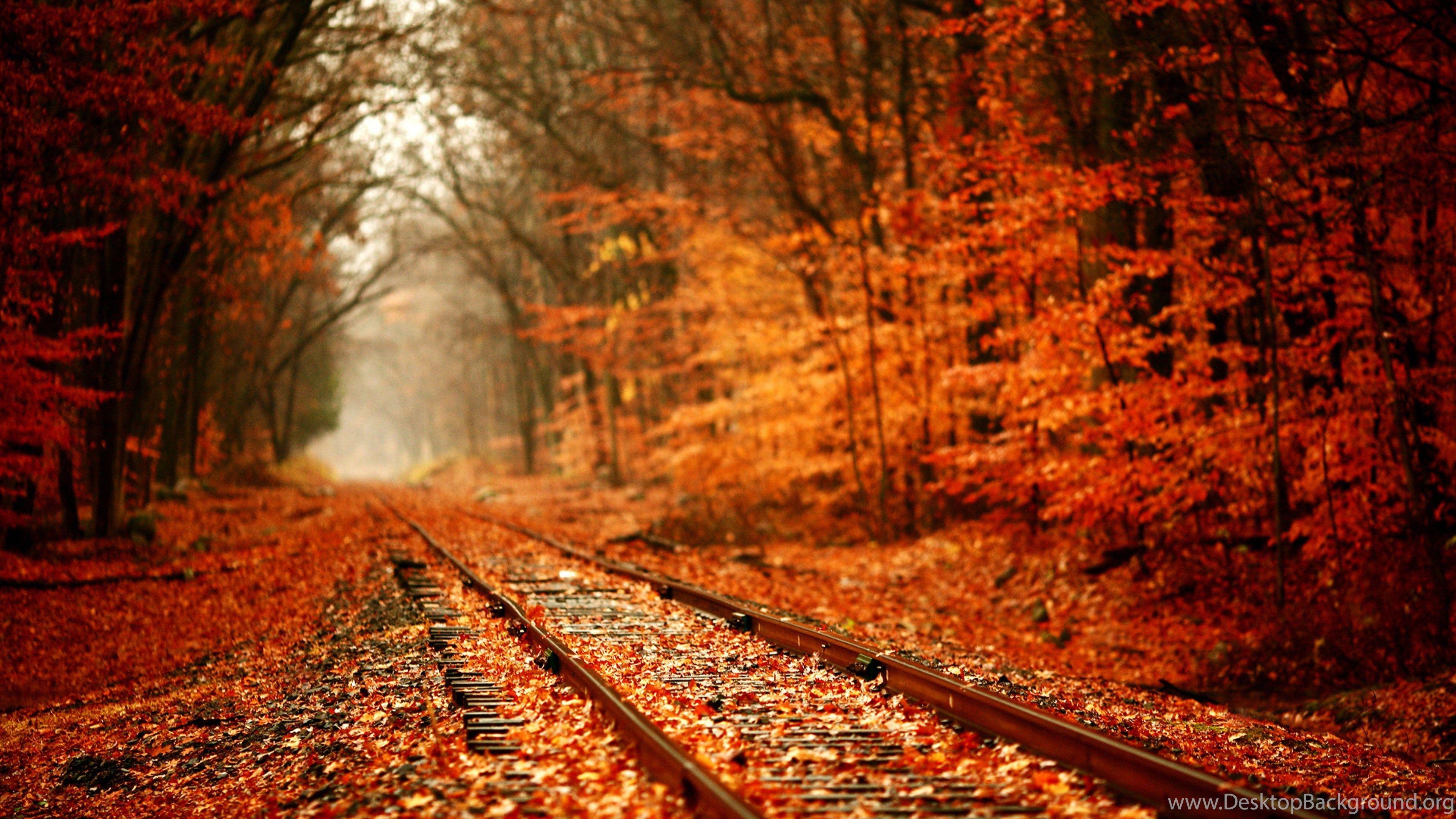 Minnesota Autumn Wallpapers - Top Free Minnesota Autumn Backgrounds ...