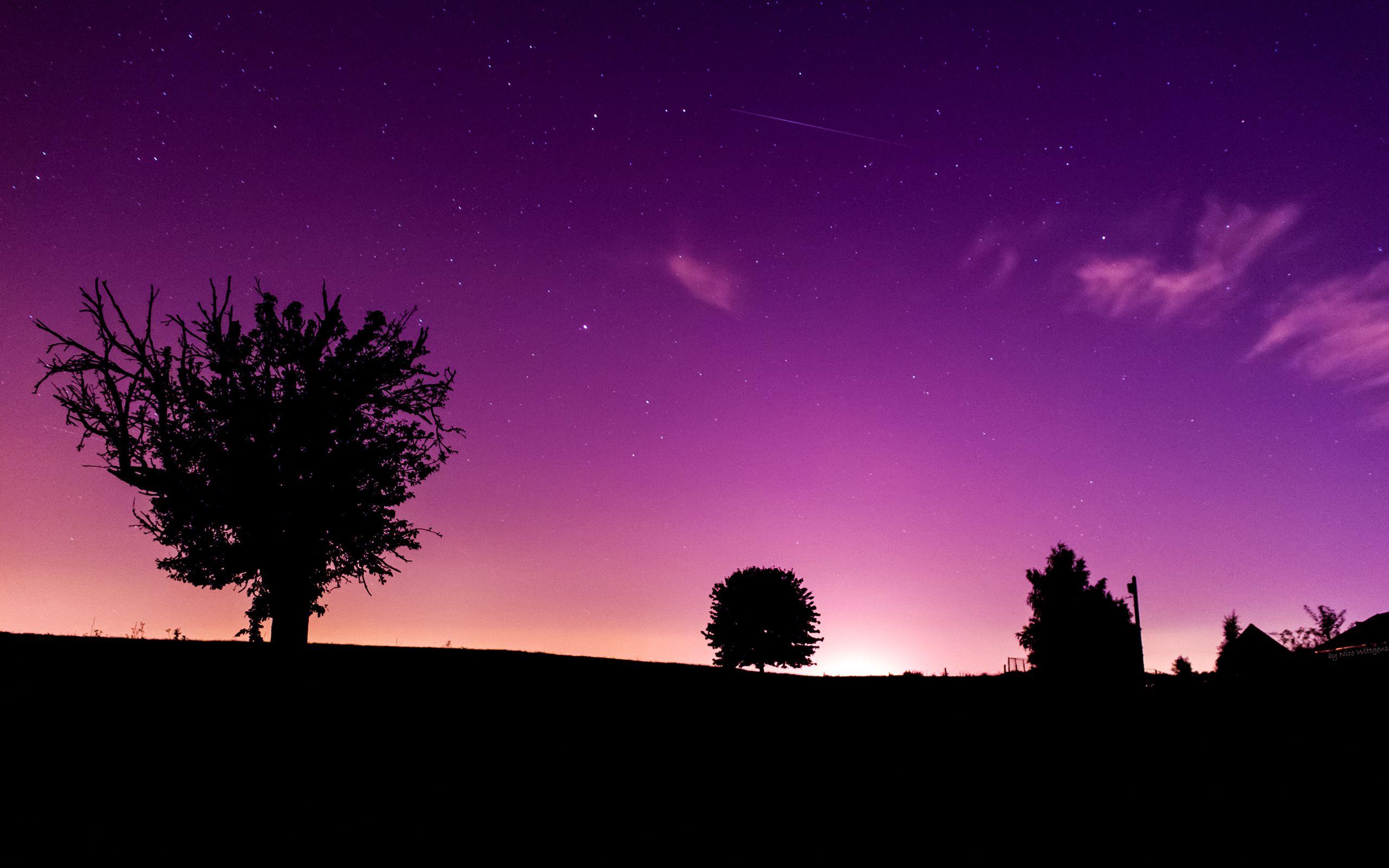Pink Night Wallpapers - Top Free Pink Night Backgrounds - WallpaperAccess
