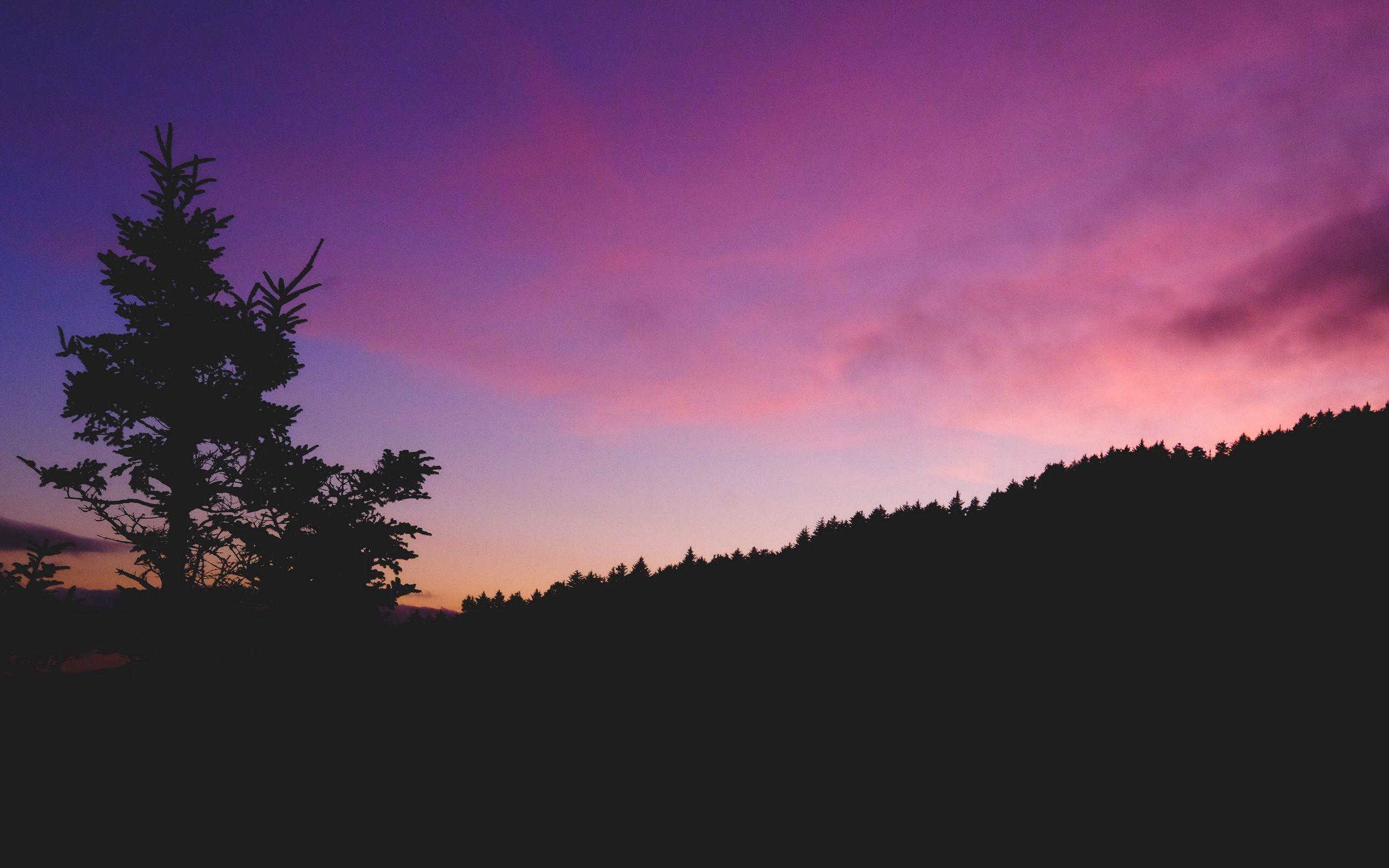 Pink Night Wallpapers - Top Free Pink Night Backgrounds - WallpaperAccess