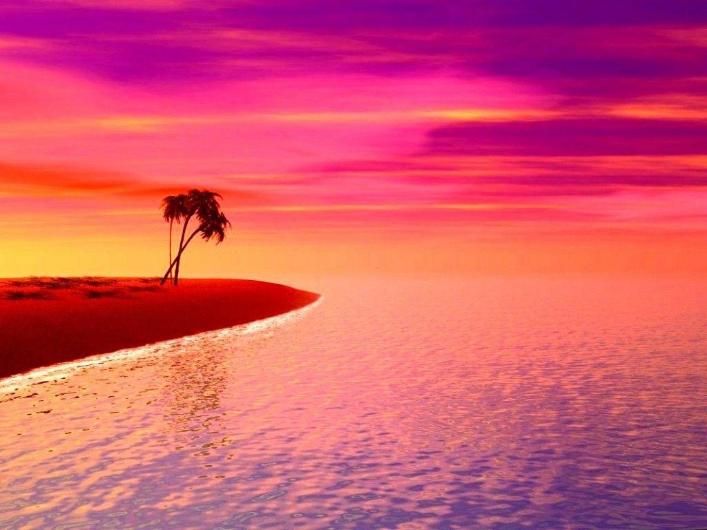 Purple Tropical Sunset Beach Wallpapers - Top Free Purple Tropical ...