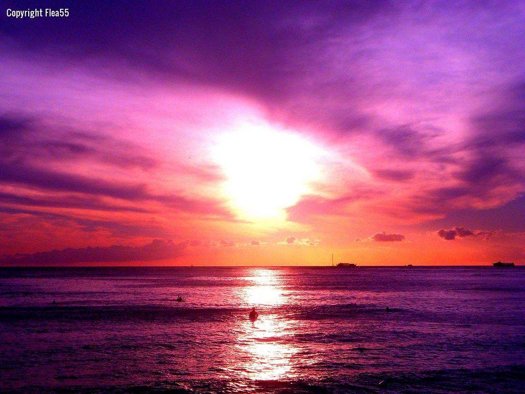 Purple Beach Sunset Desktop Wallpapers - Top Free Purple Beach Sunset ...