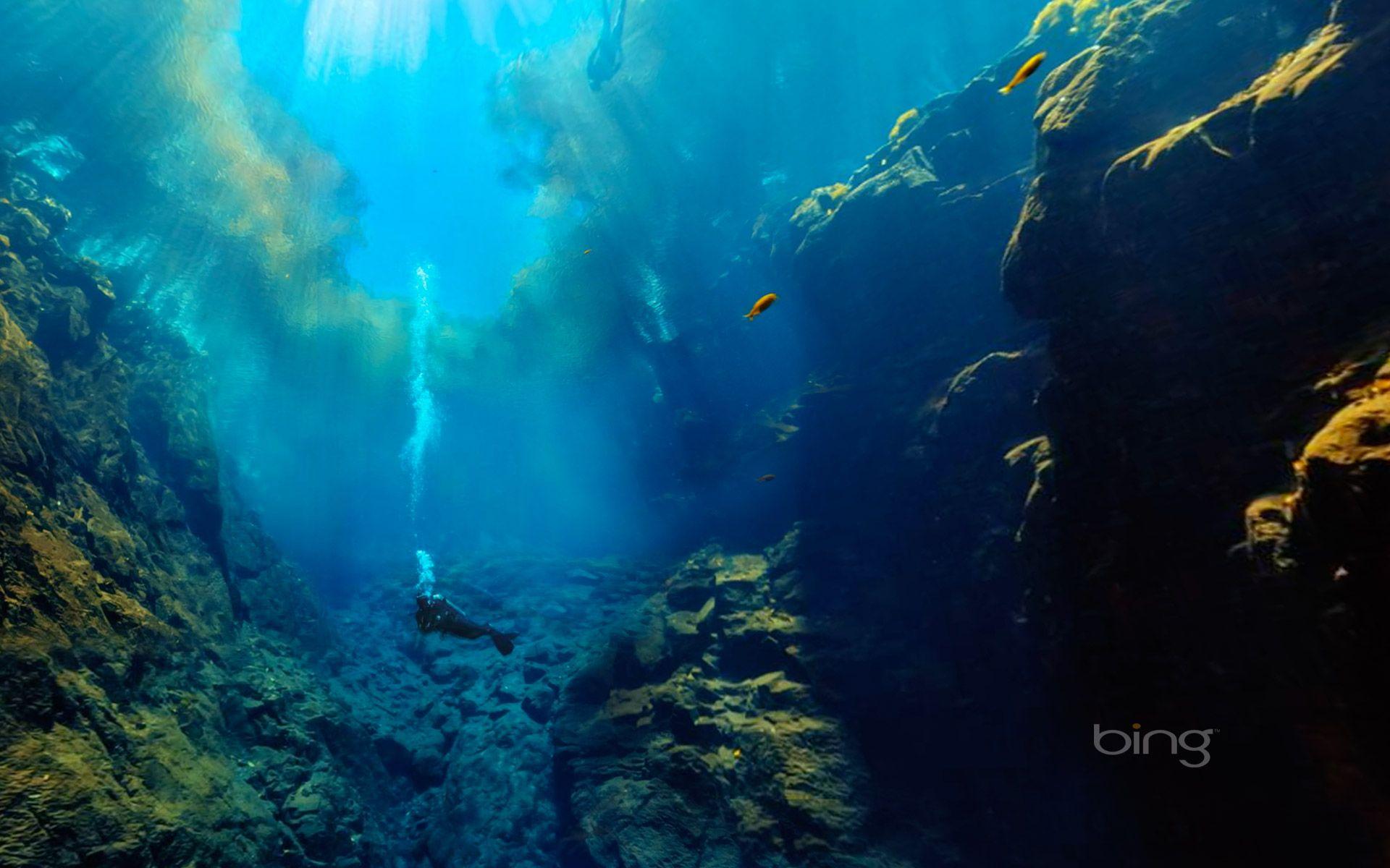Bing Wallpapers - Top Những Hình Ảnh Đẹp
