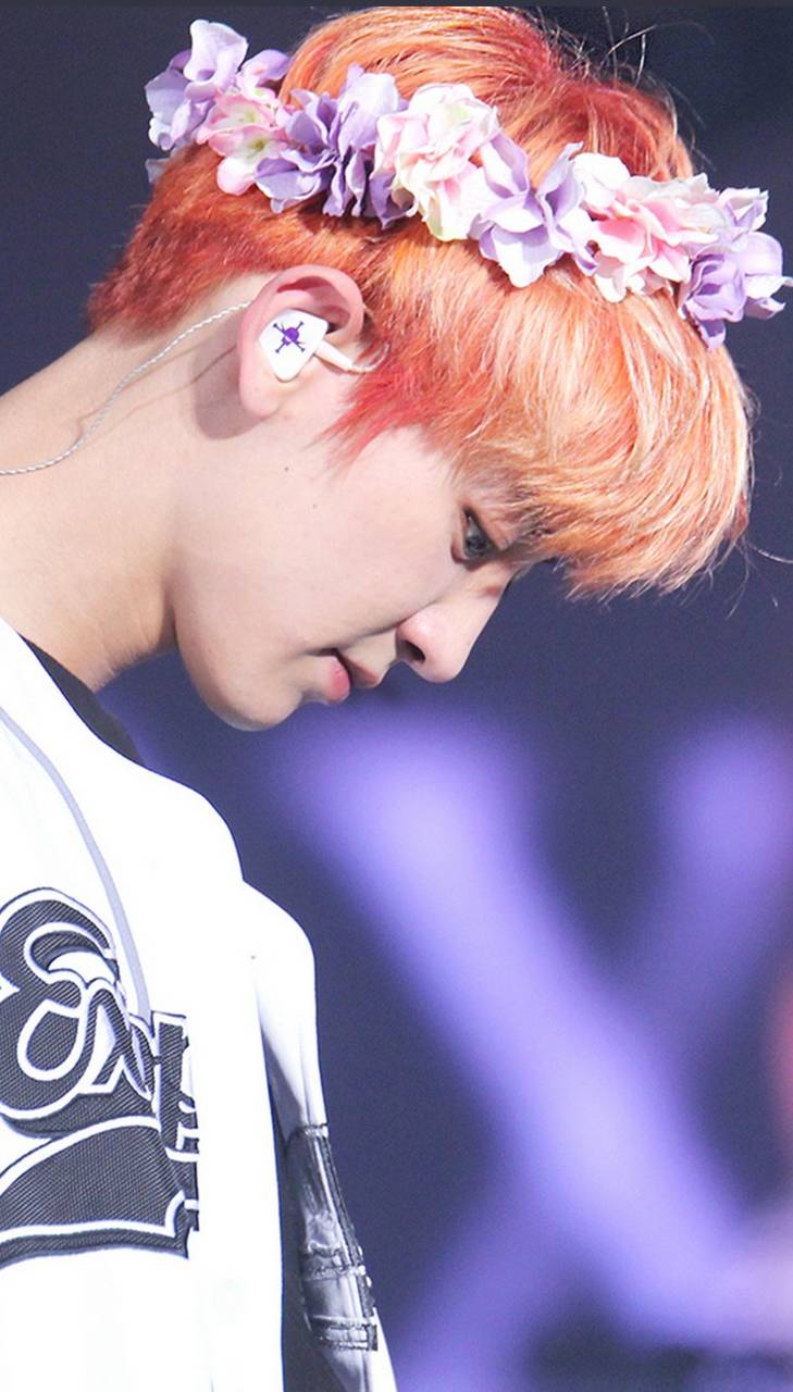 Chanyeol Cute Wallpapers - Top Free Chanyeol Cute Backgrounds ...