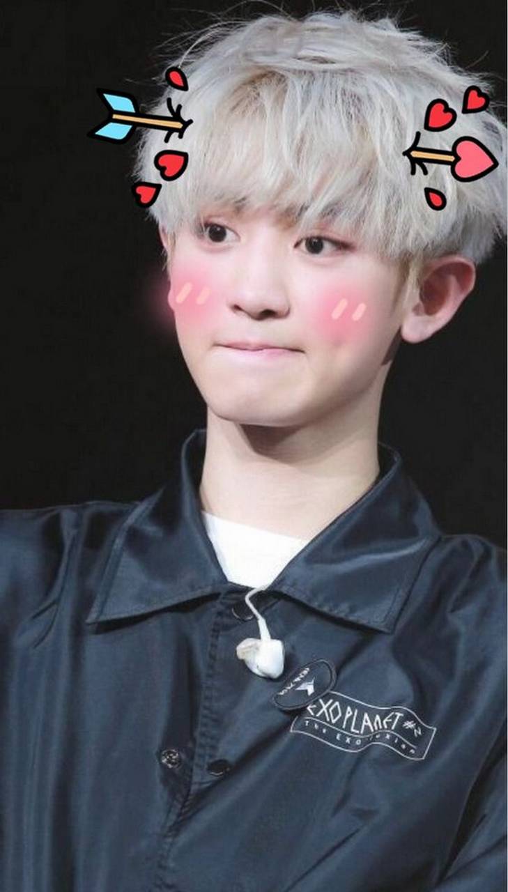 Chanyeol Cute Wallpapers - Top Free Chanyeol Cute Backgrounds ...