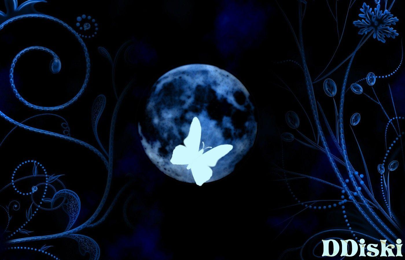 Moon Butterfly Wallpapers - Top Free Moon Butterfly Backgrounds ...