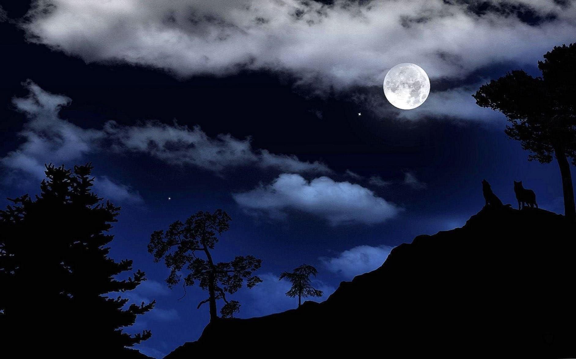 Full Moon Wolf Wallpapers - Top Free Full Moon Wolf Backgrounds ...